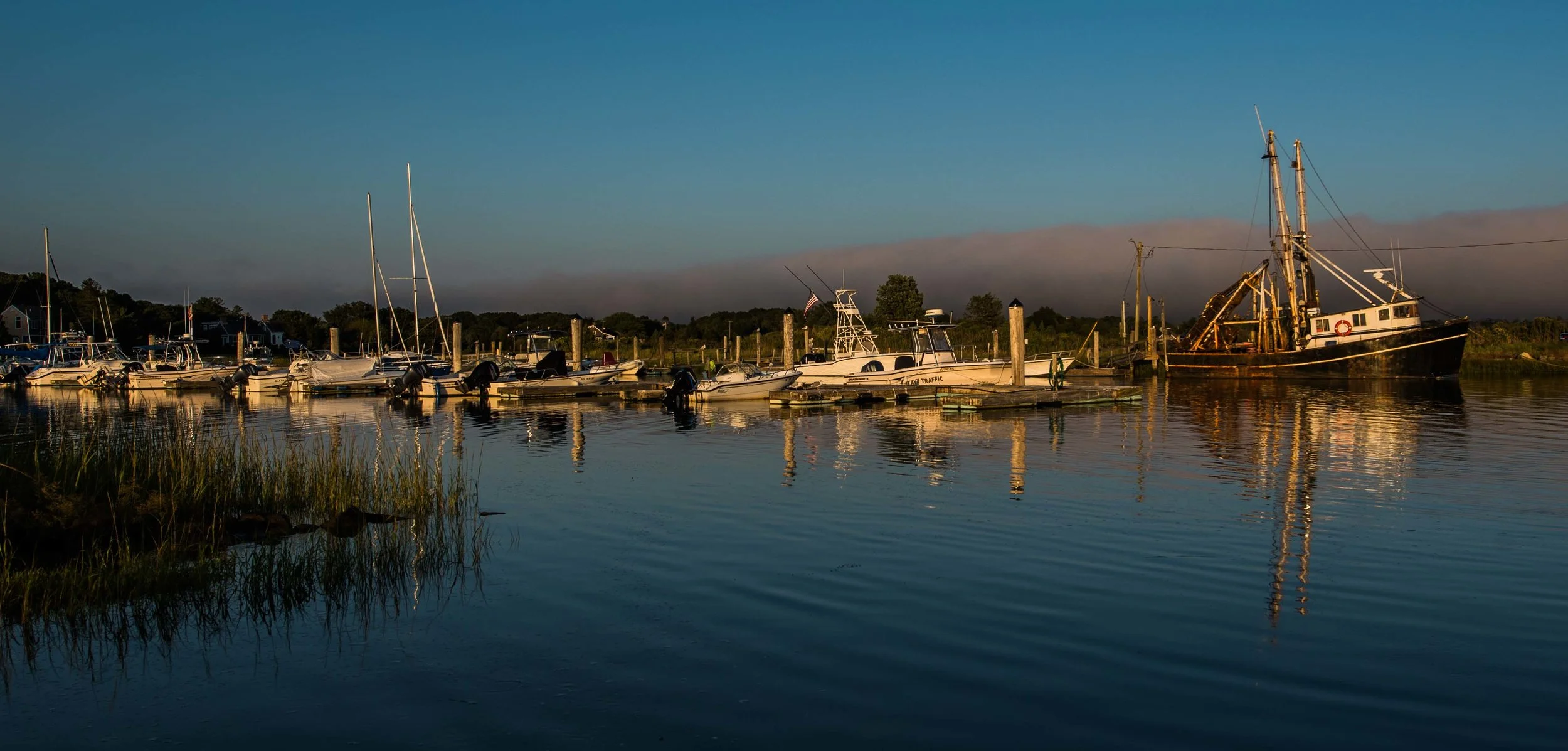 Cape Cod — Harry Agress