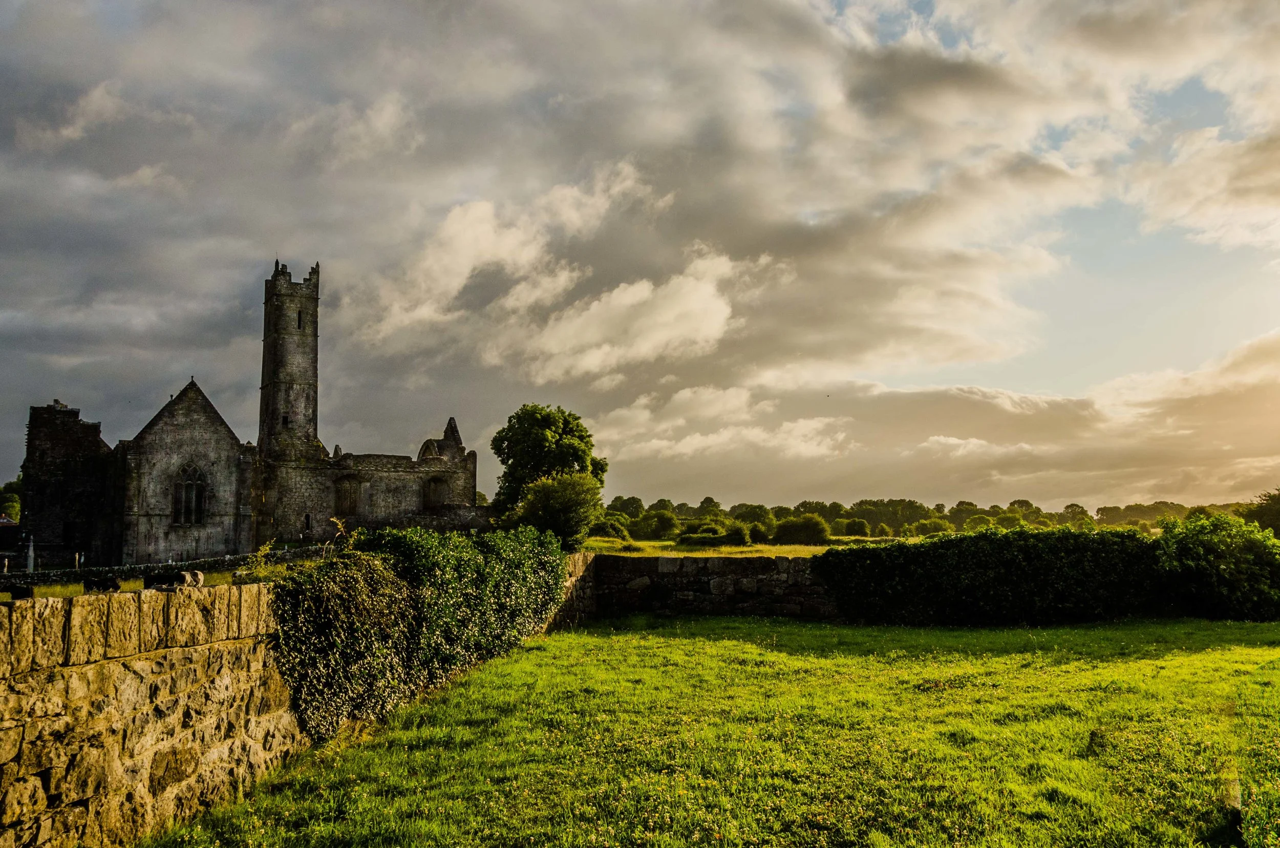 Ireland — Harry Agress