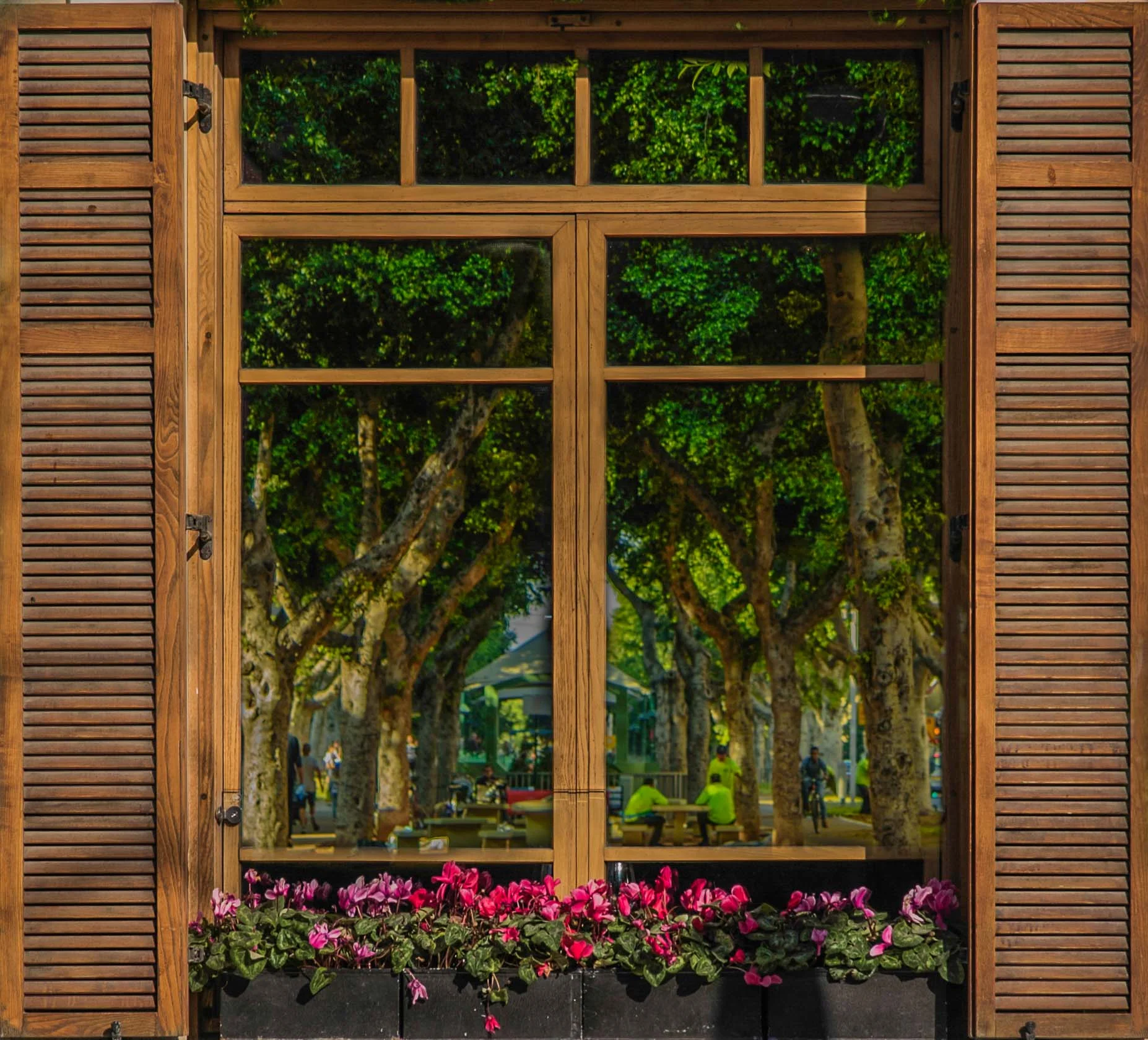 Windows — Harry Agress