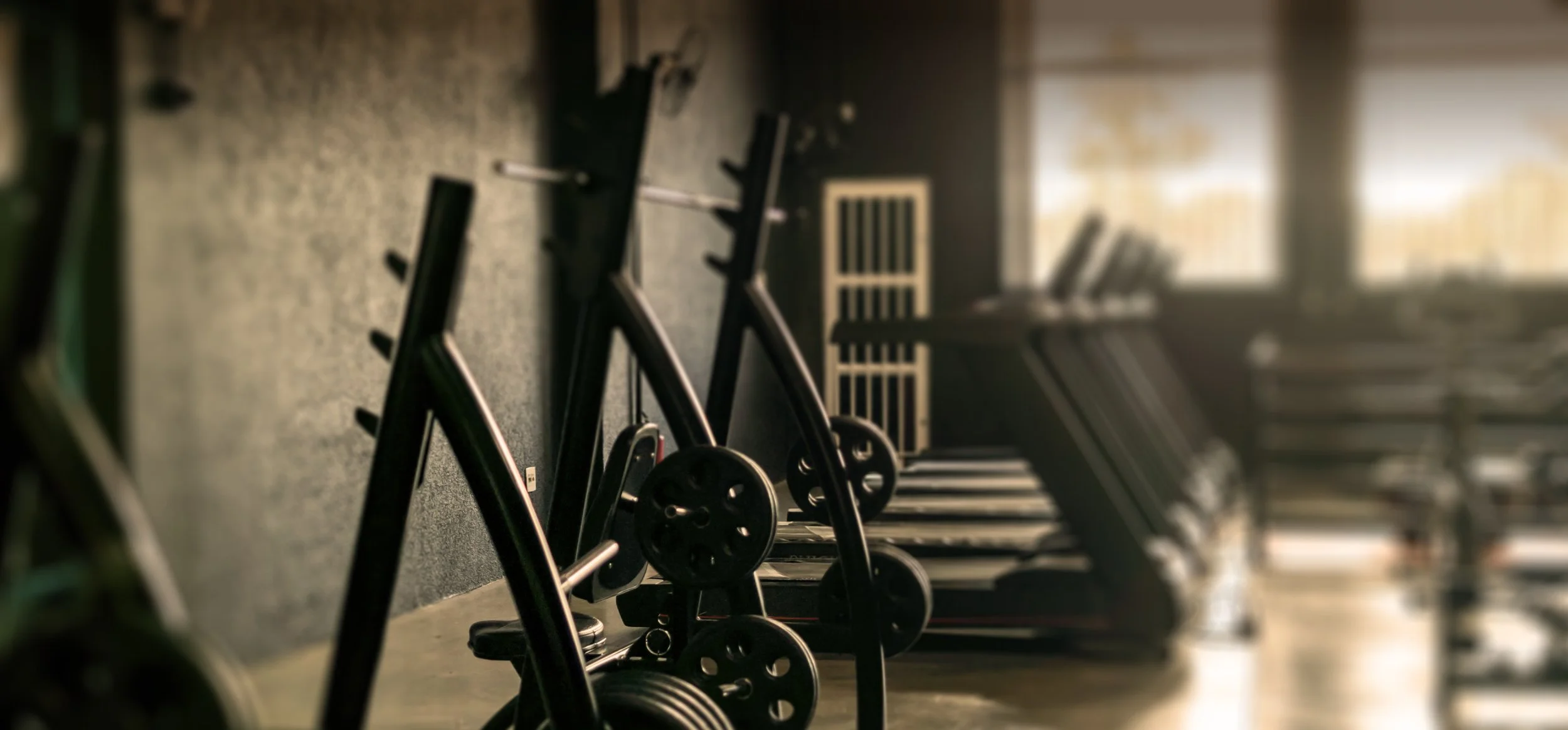 Hench Herbivore, YouTuber, Vegan Personal Trainer & Certified Nutritionist