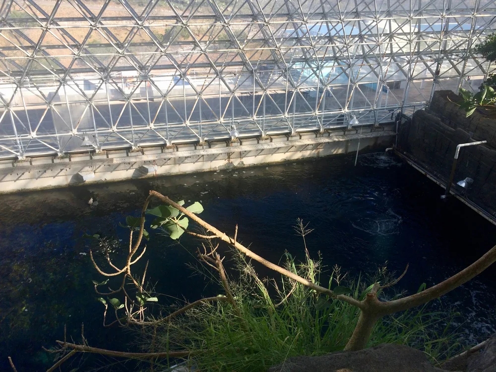 The Lost World — Daniel Litt