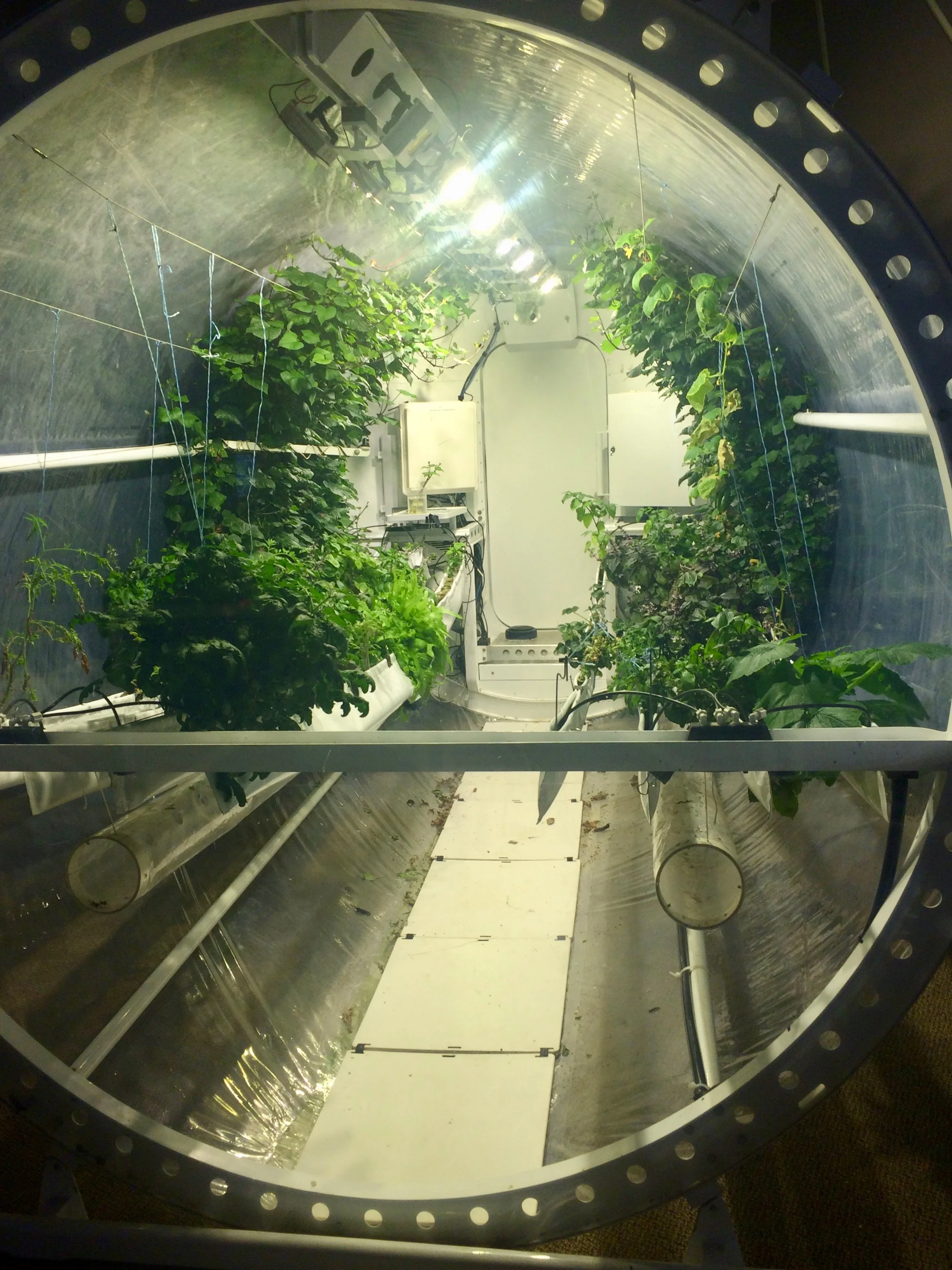 biosphere — Betalog — Daniel Litt