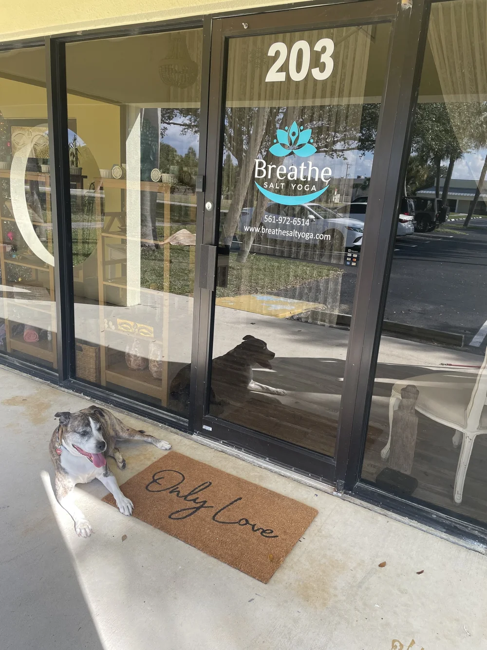 Indoor Classes — Breathe Salt & Yoga | Local Yoga Class, Salt Room ...