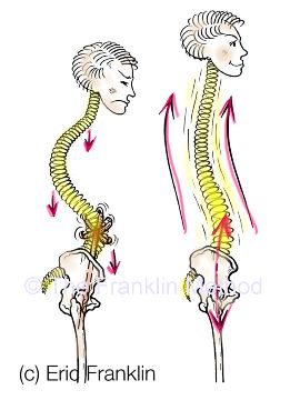 Copy of Workshops with FM descriptions