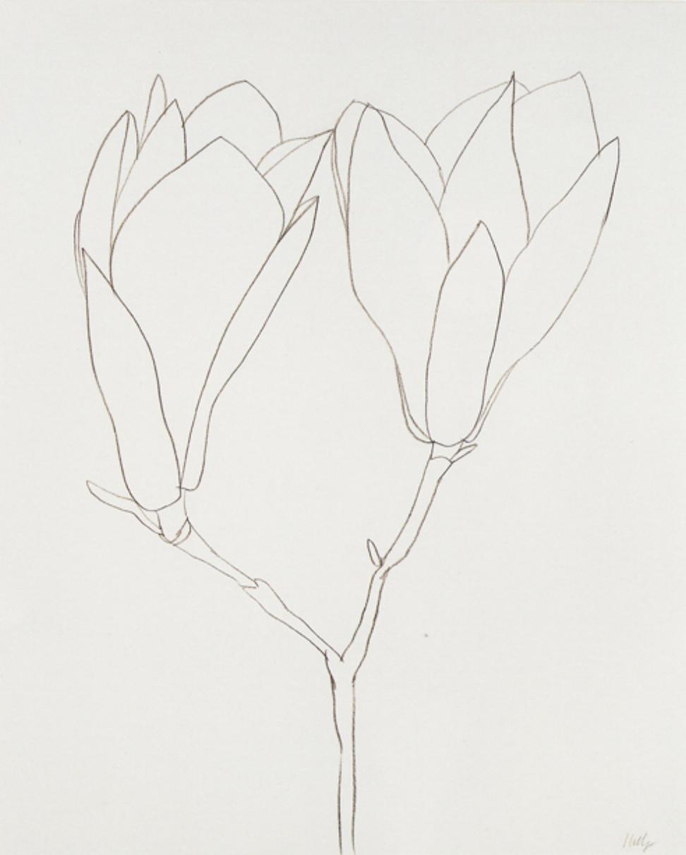 LCDQ Window 2016: Ellsworth Kelly — Amy Meier Design