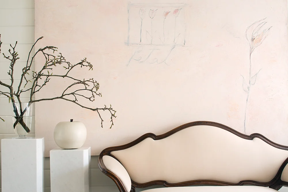 Spring 2017 Storefront — Amy Meier Design