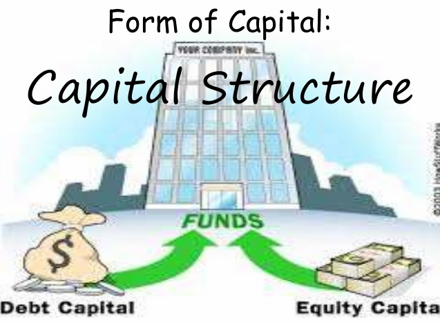 Debt Hierarchy Diagram In Capital Structure Determinants Fin