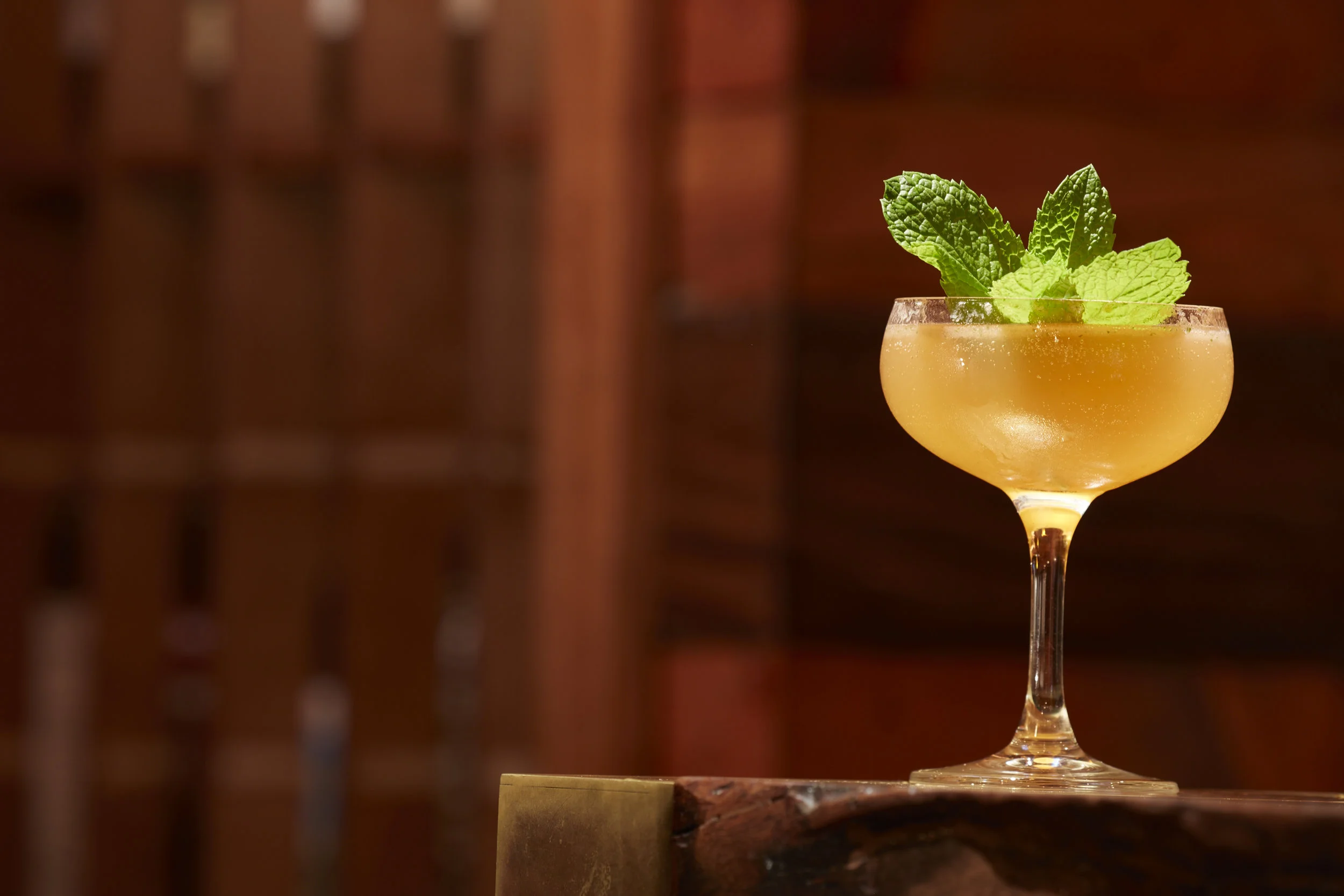 Mezcalito Photo Gallery — Mezcalito