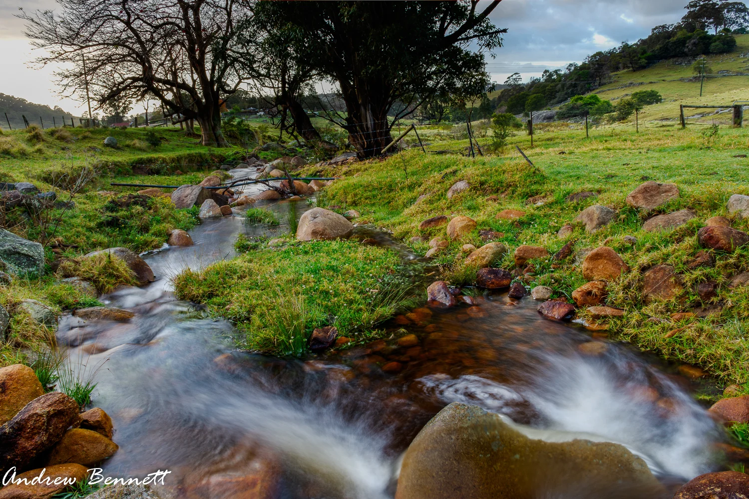 Mountain View Farm Tilba