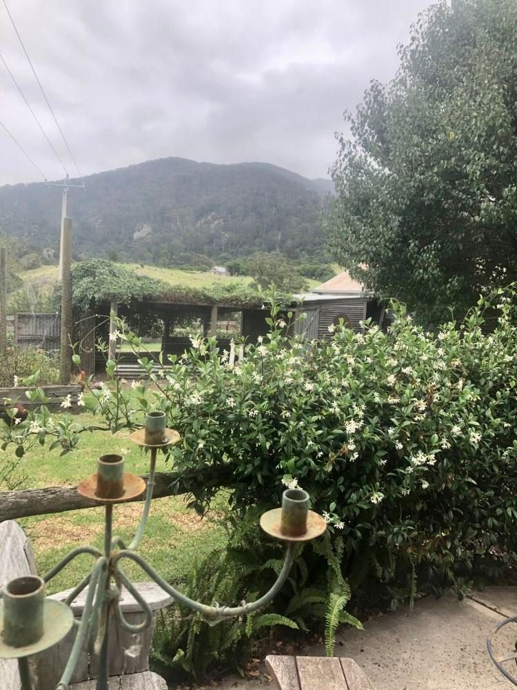 The Studio — Mountain View Farm Tilba Tilba Accommodation