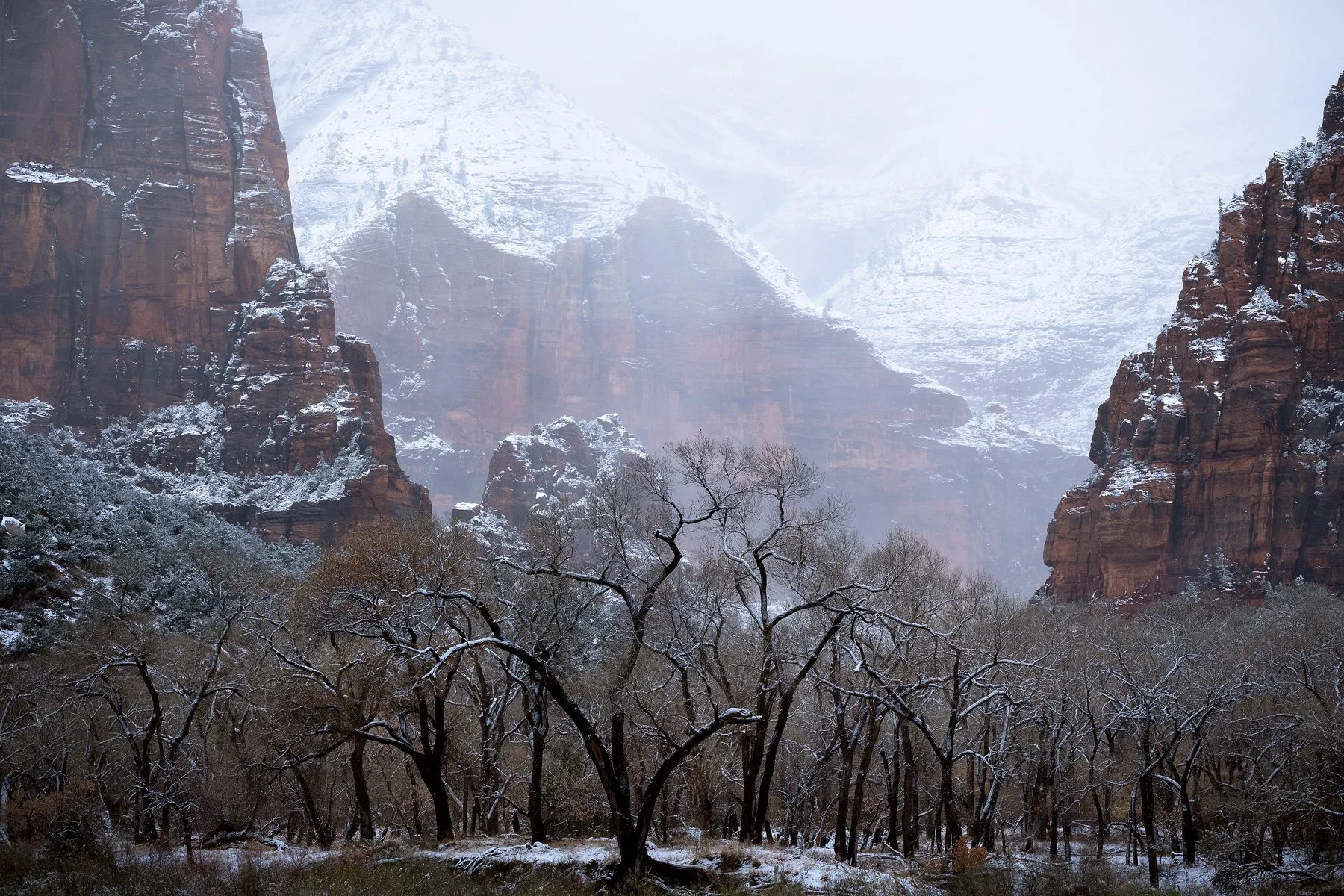 Zion National park — Martin Gonzalez Photography