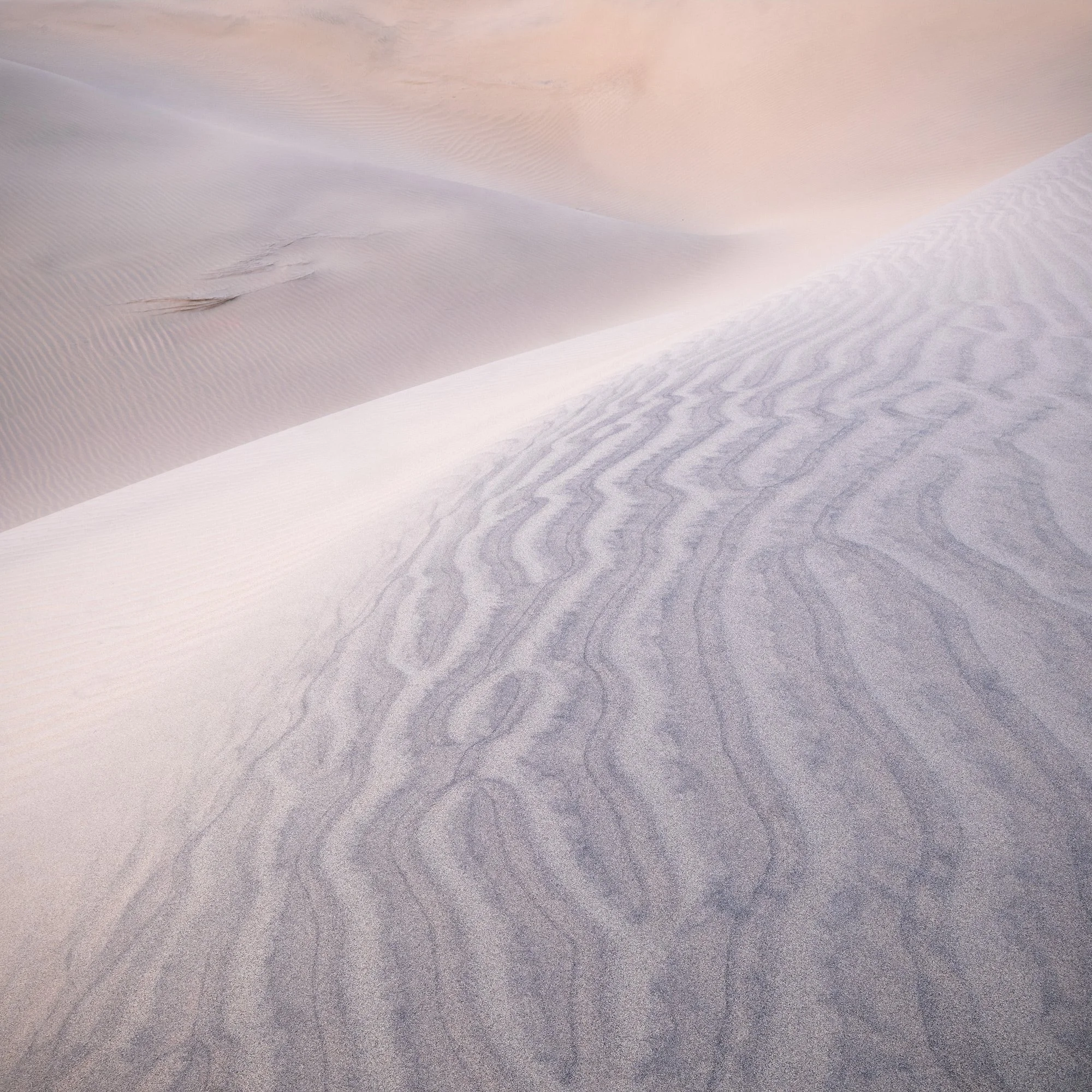 New releases — Martin Gonzalez Photography
