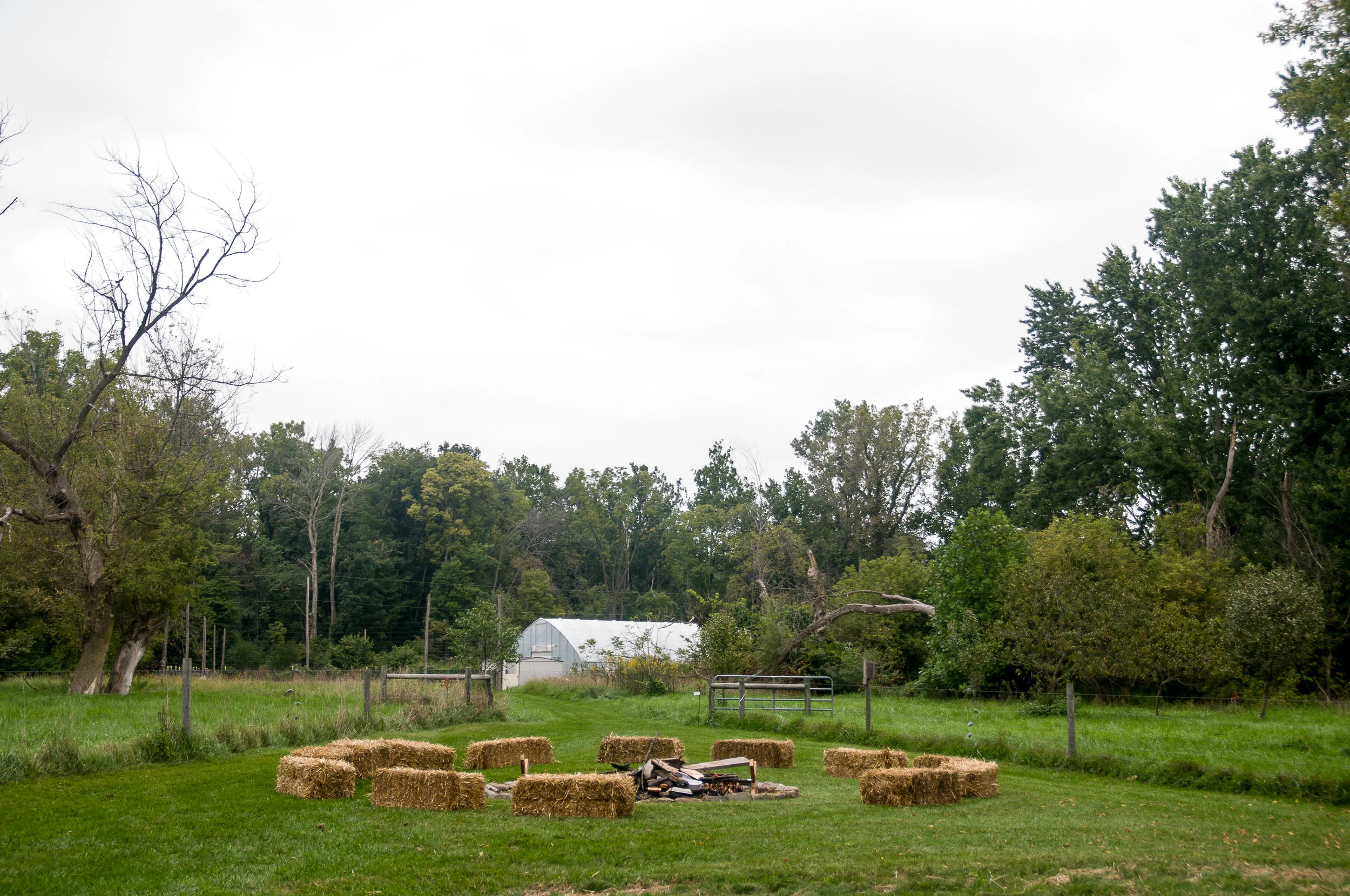 Gallery — Red Tail Farm