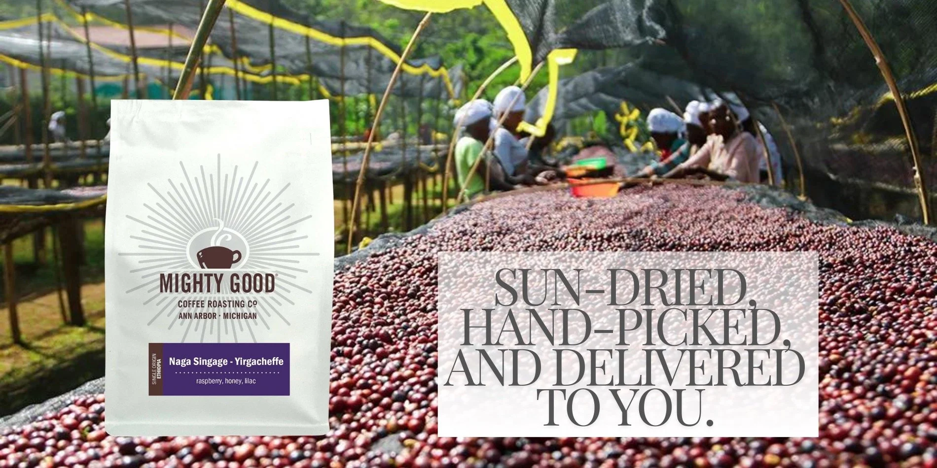 Mighty Good Coffee Roasting Co.