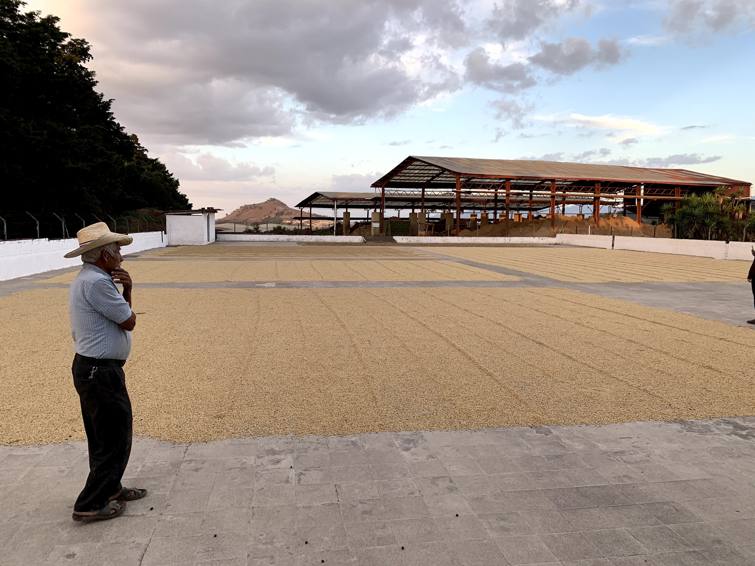 Mighty Good Coffee Roasting Co.