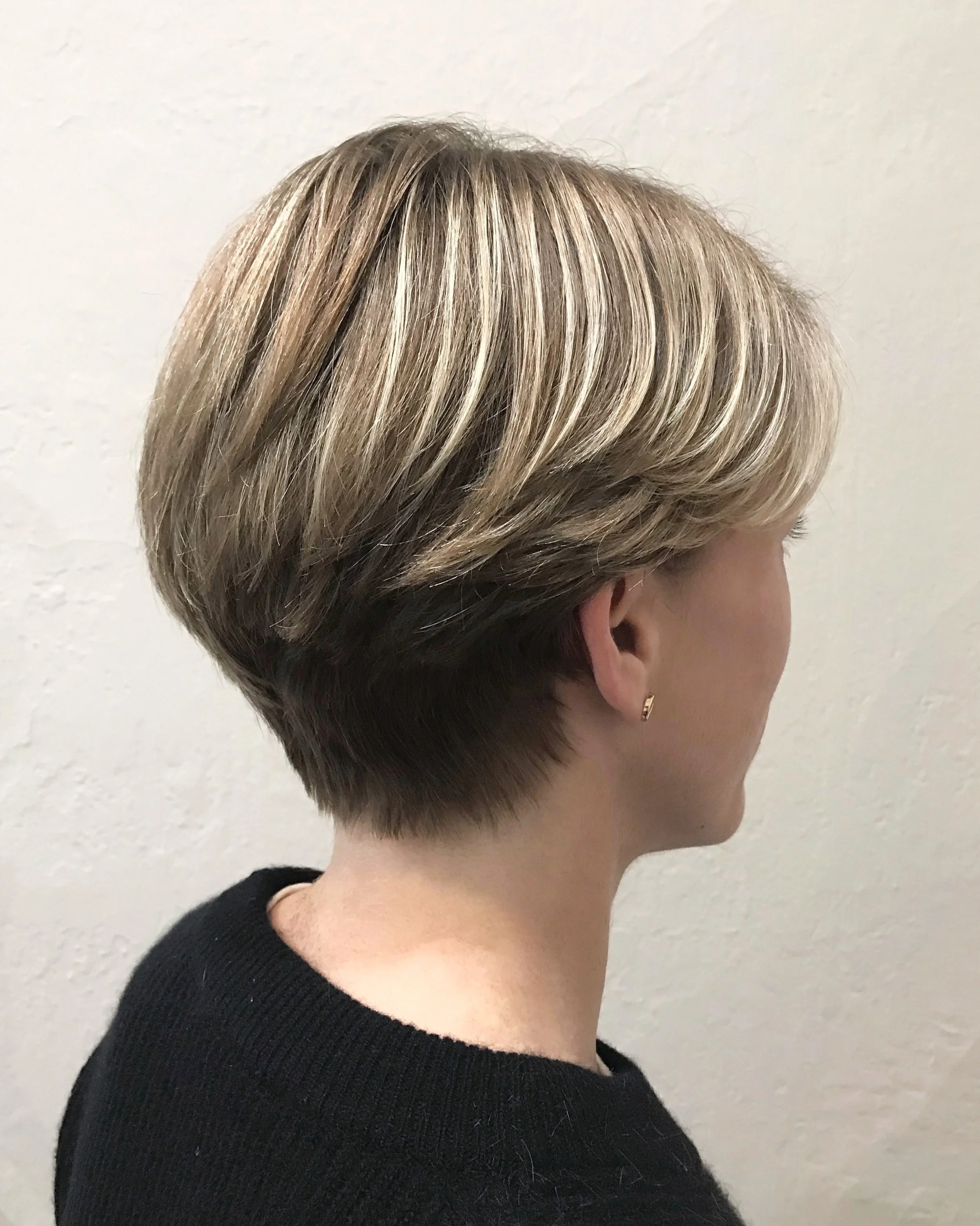 The Organic Stylist - Precision Haircut Specialist