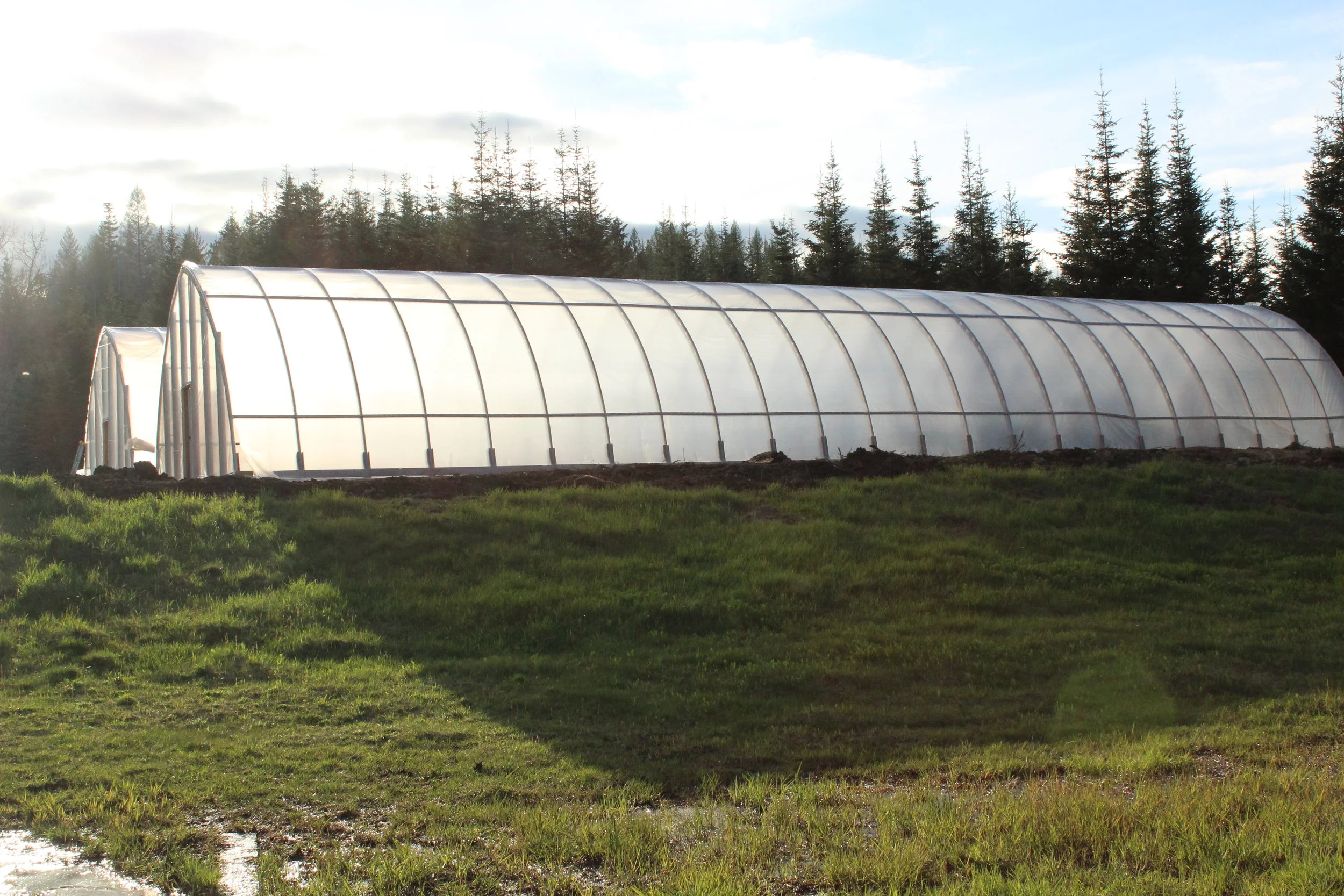 Pack River Farm — Pack River Farm