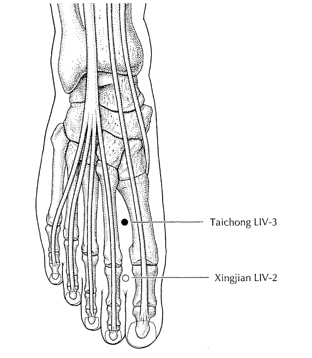 5 Acupressure points to combat WFH “tech neck” — Turning Pointe ...