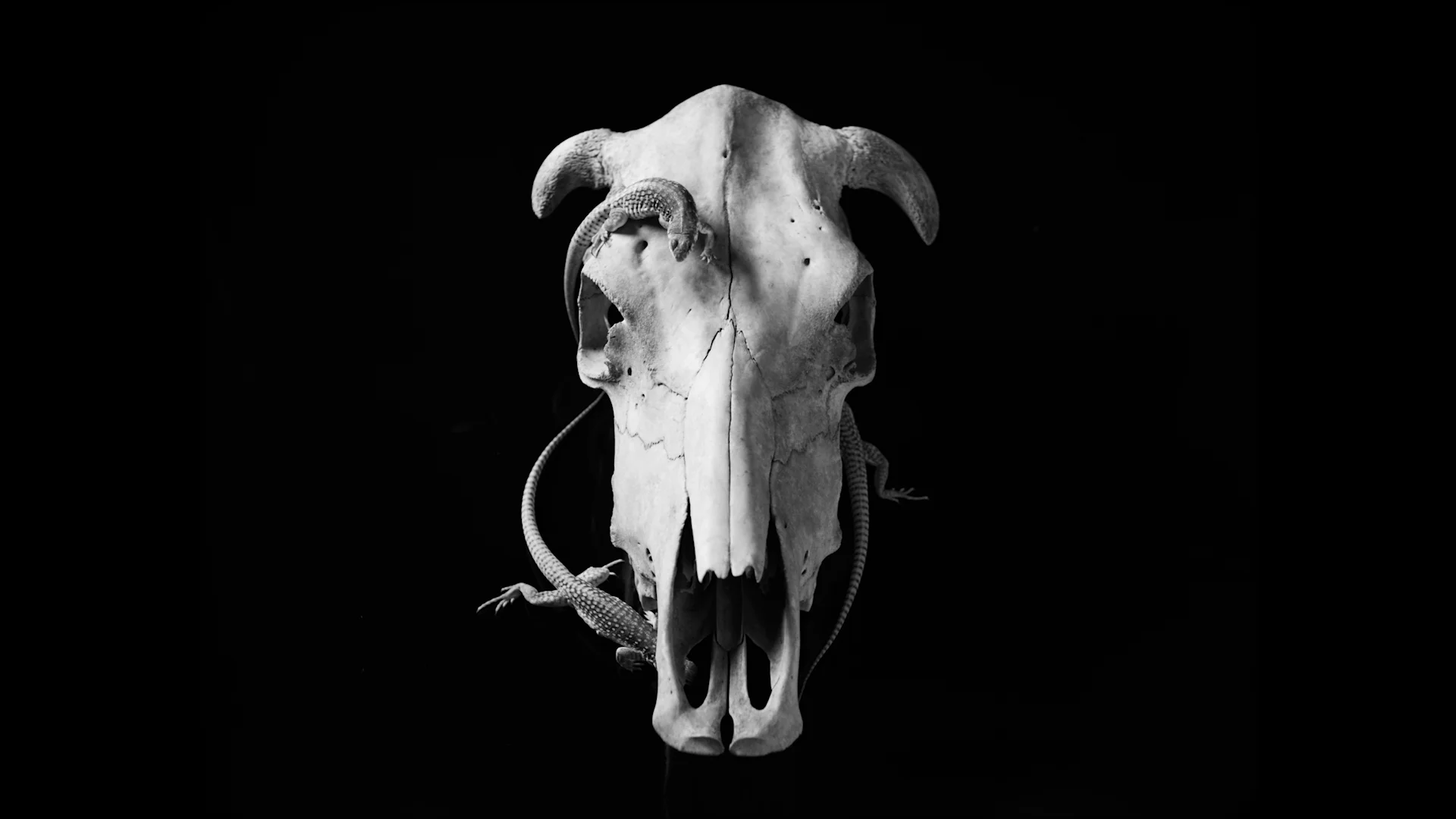 Director Daniel Carberry