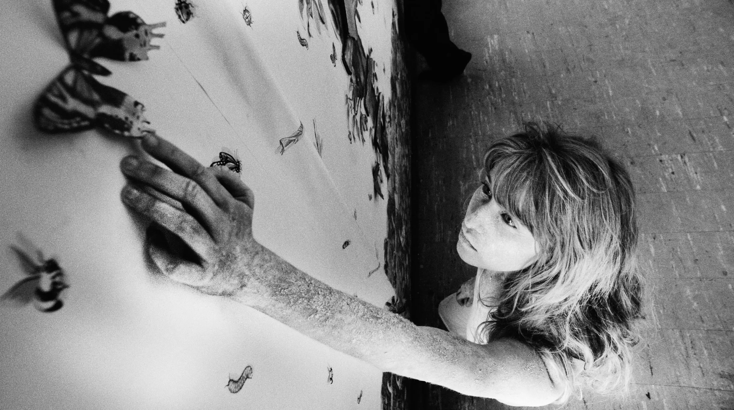 Director Daniel Carberry