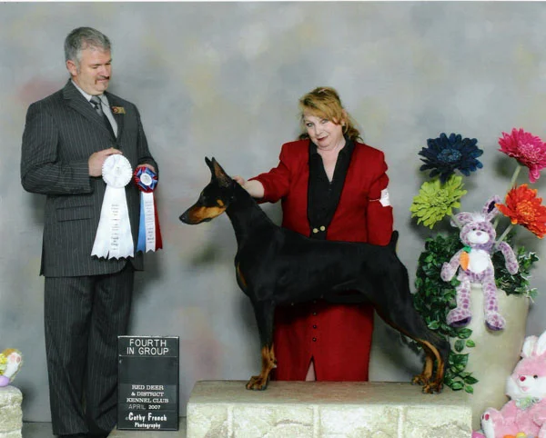 Can.Ch.Jaspar's Once More 'Georgia' — Jaspar Kennels