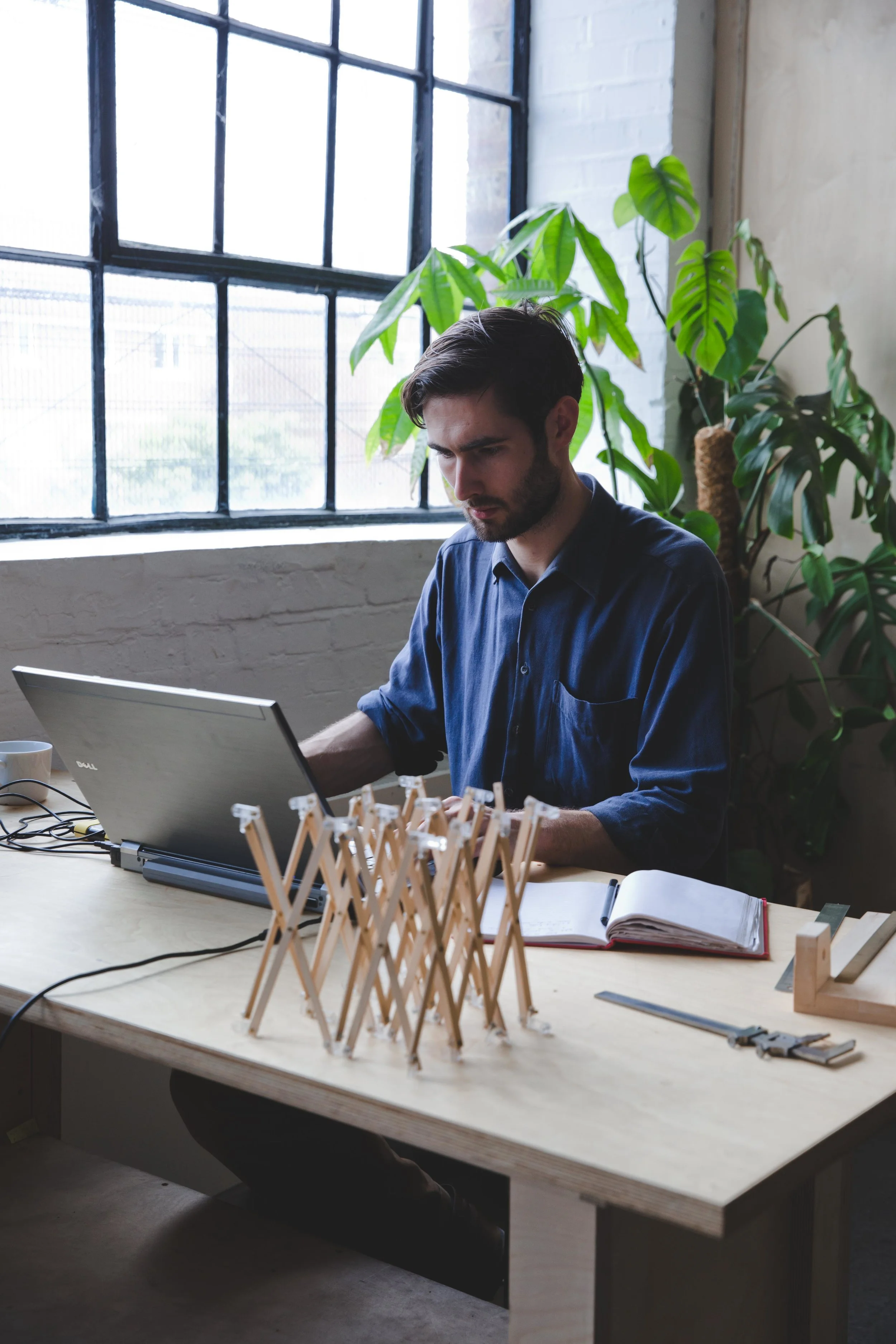 Story of Animaro — Animaro