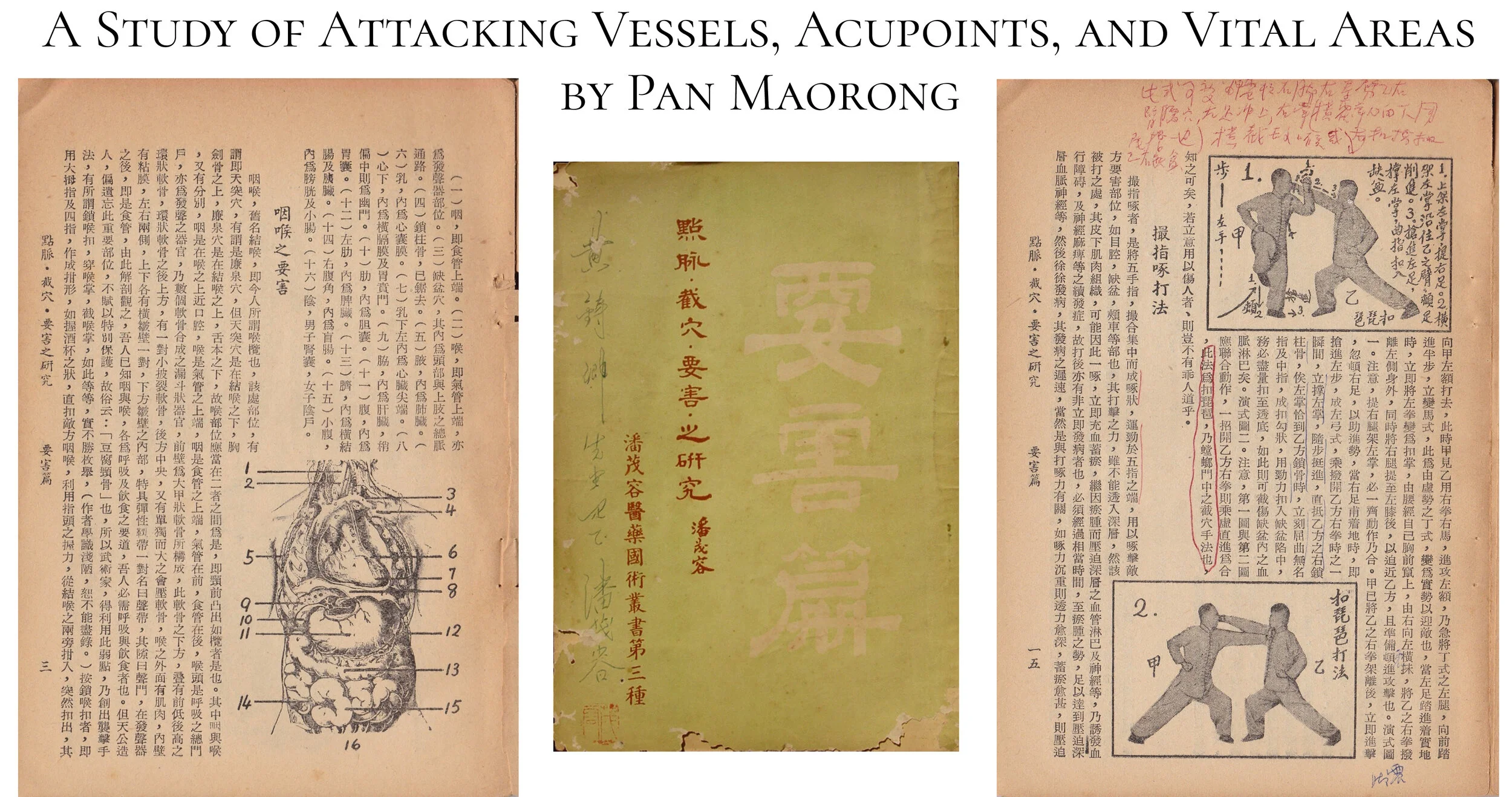 The 8 Forbidden Strikes of Mantis — The Ravenswood Academy