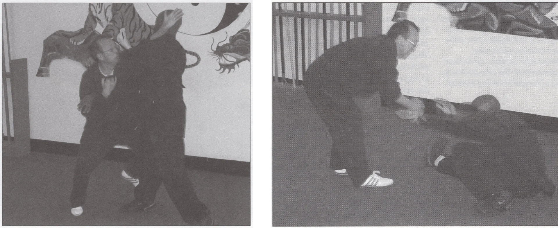 The 8 Forbidden Strikes of Mantis — The Ravenswood Academy