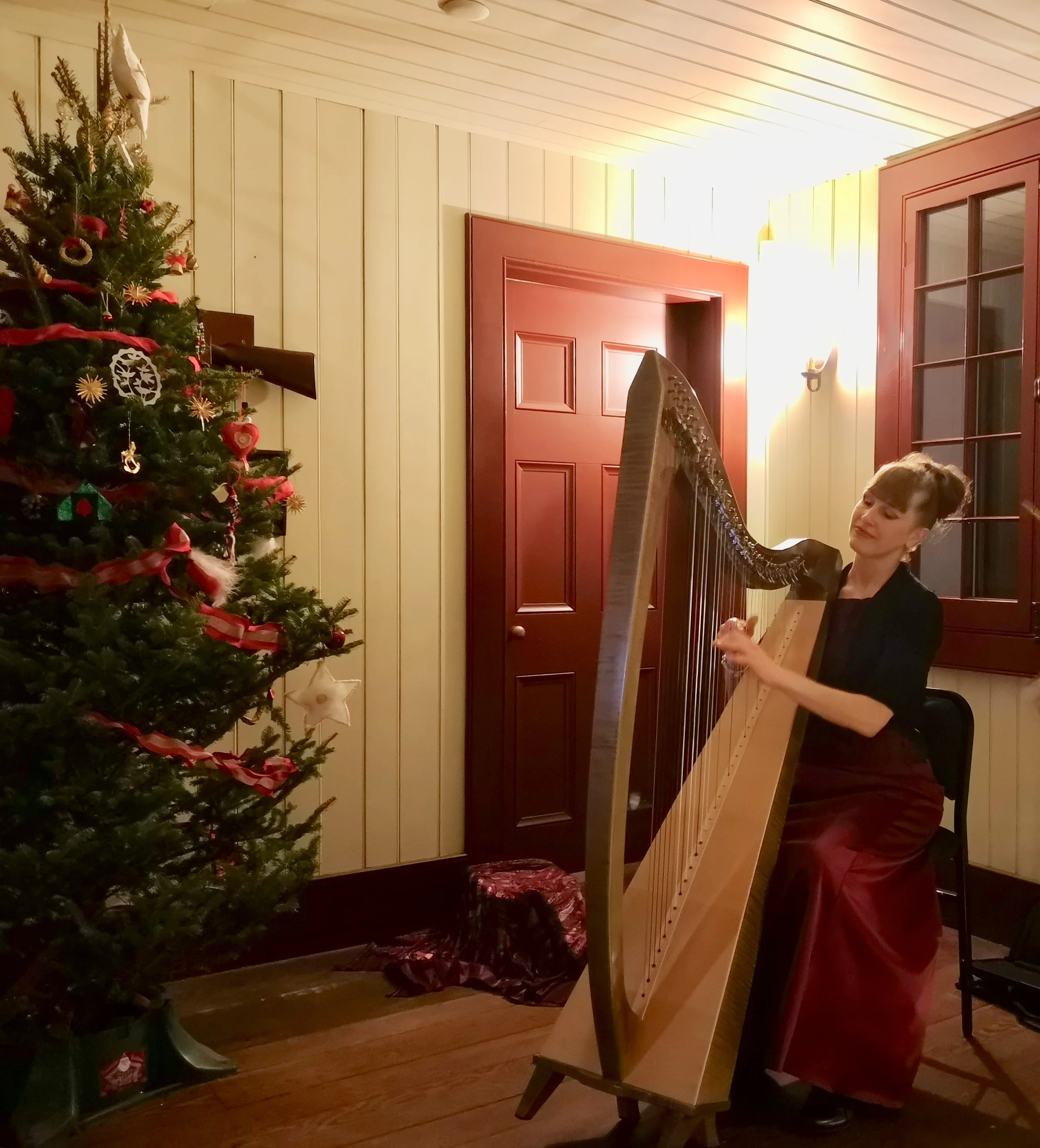 Leanne Page | Celtic Harpist and Singer
