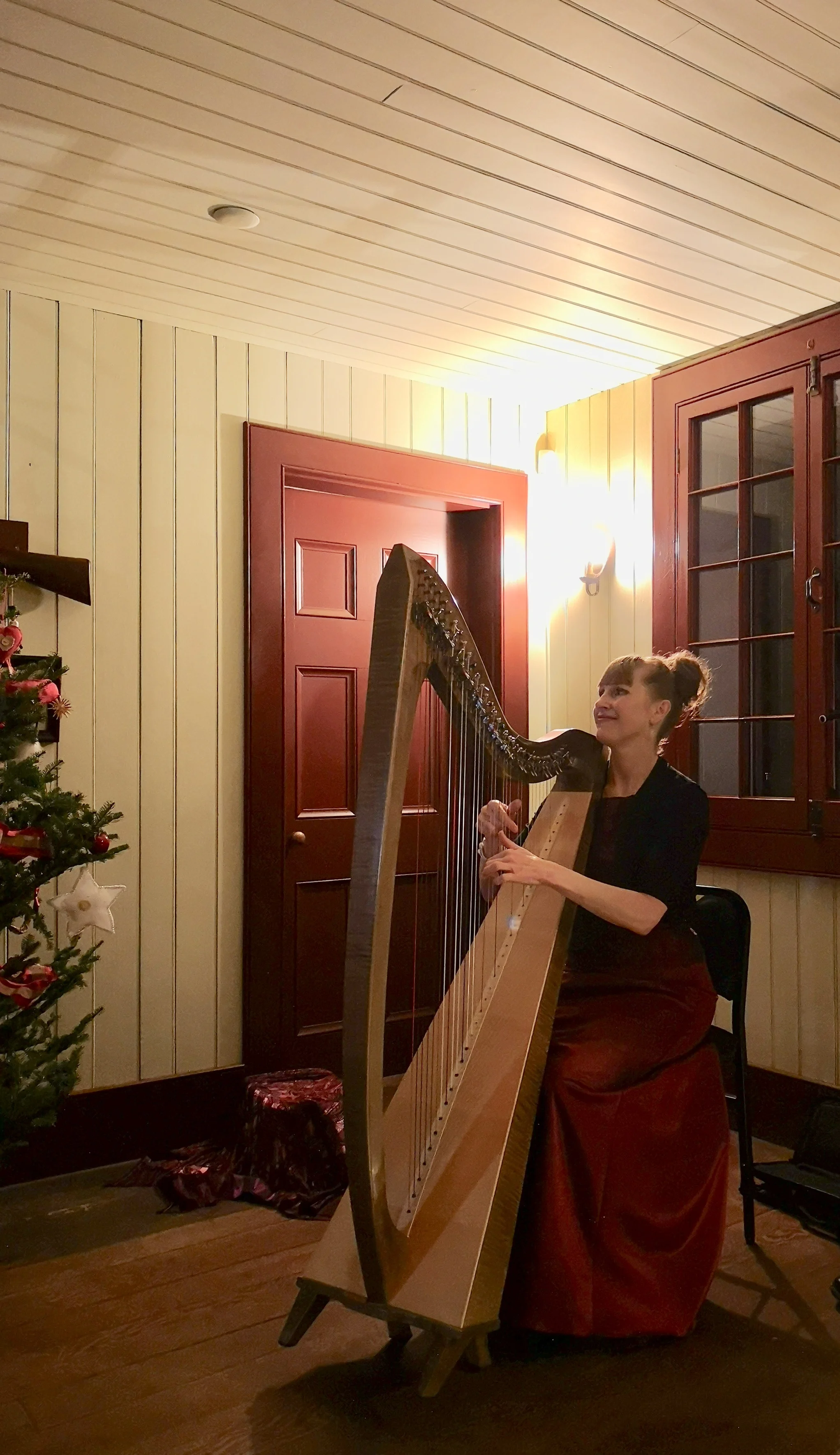 Gallery — Leanne Page | Celtic Harpist and Singer