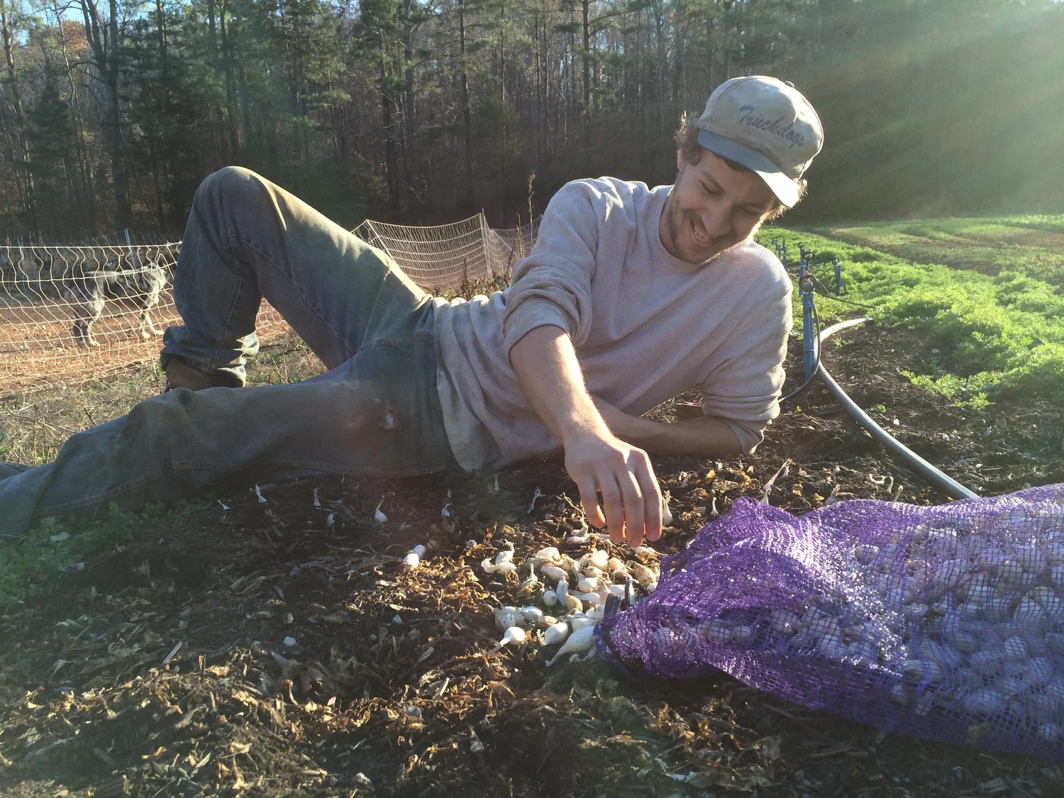 About Us — Split Acre Farm