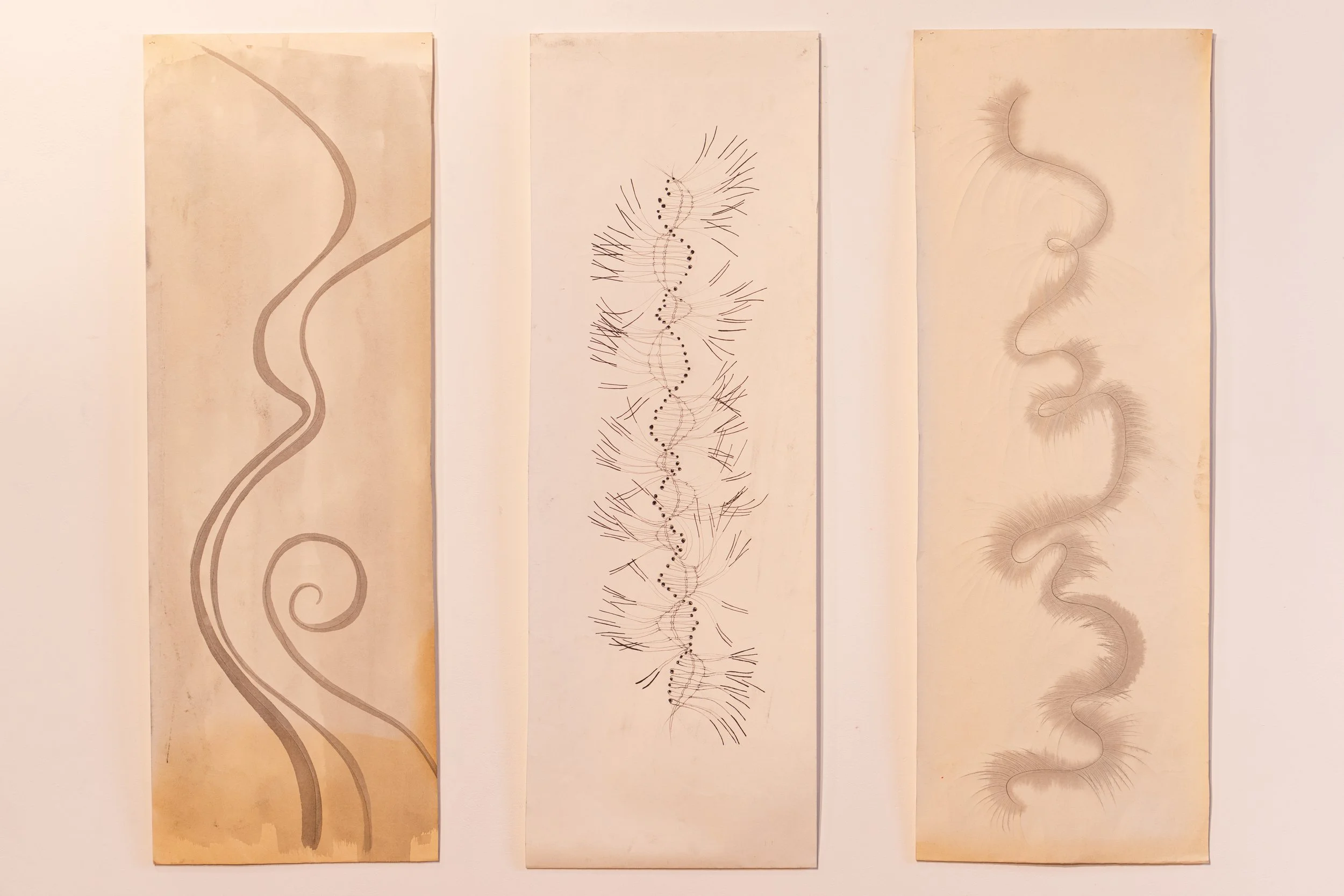 Meanderings - Sarah O’Boyle — Everybody Arts