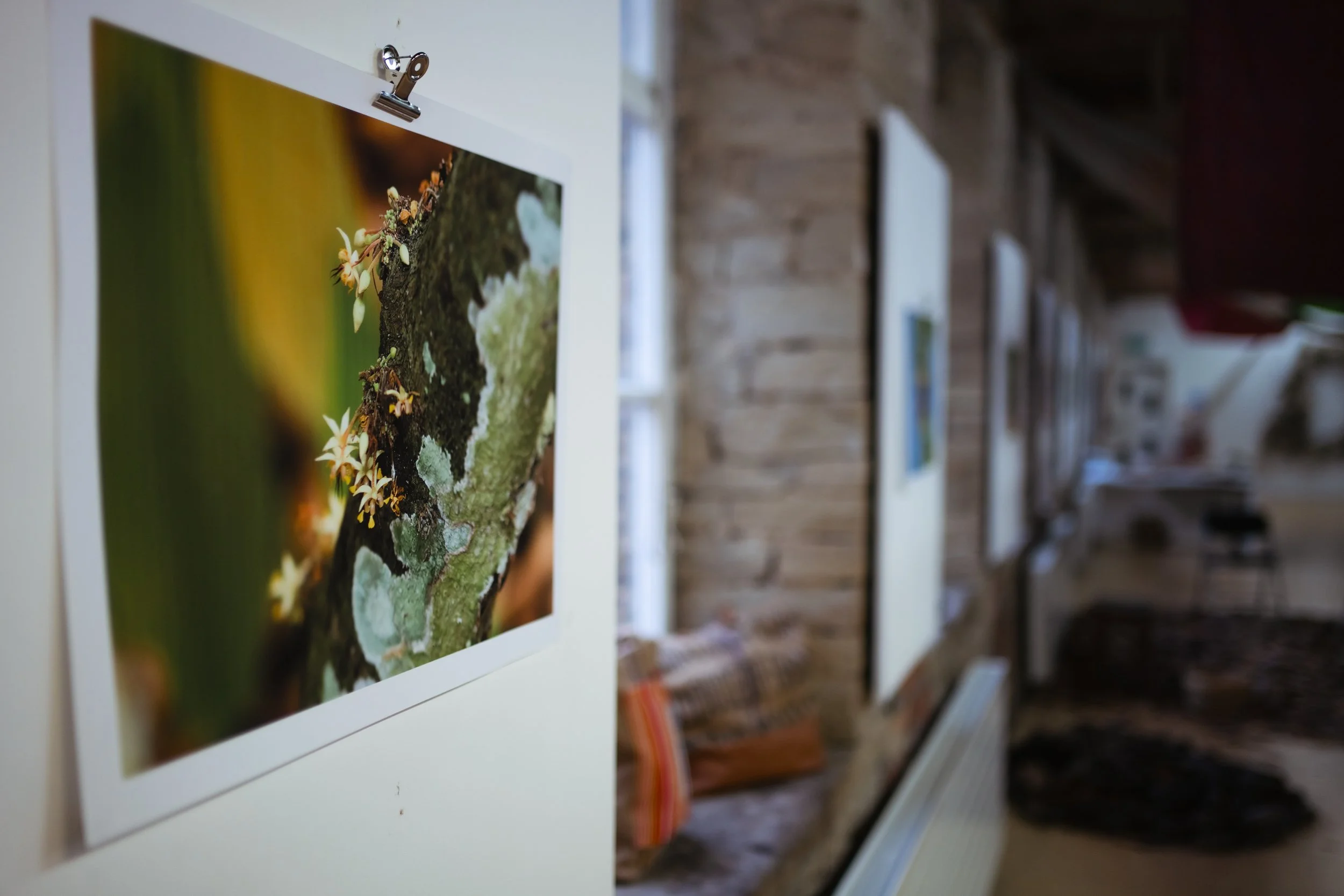 Artist interview - Adelle A’Asante - New Creatives — Everybody Arts