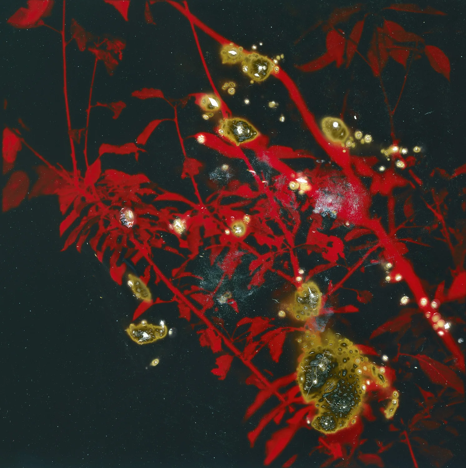 Carl-Mikael Ström – Montöristen
