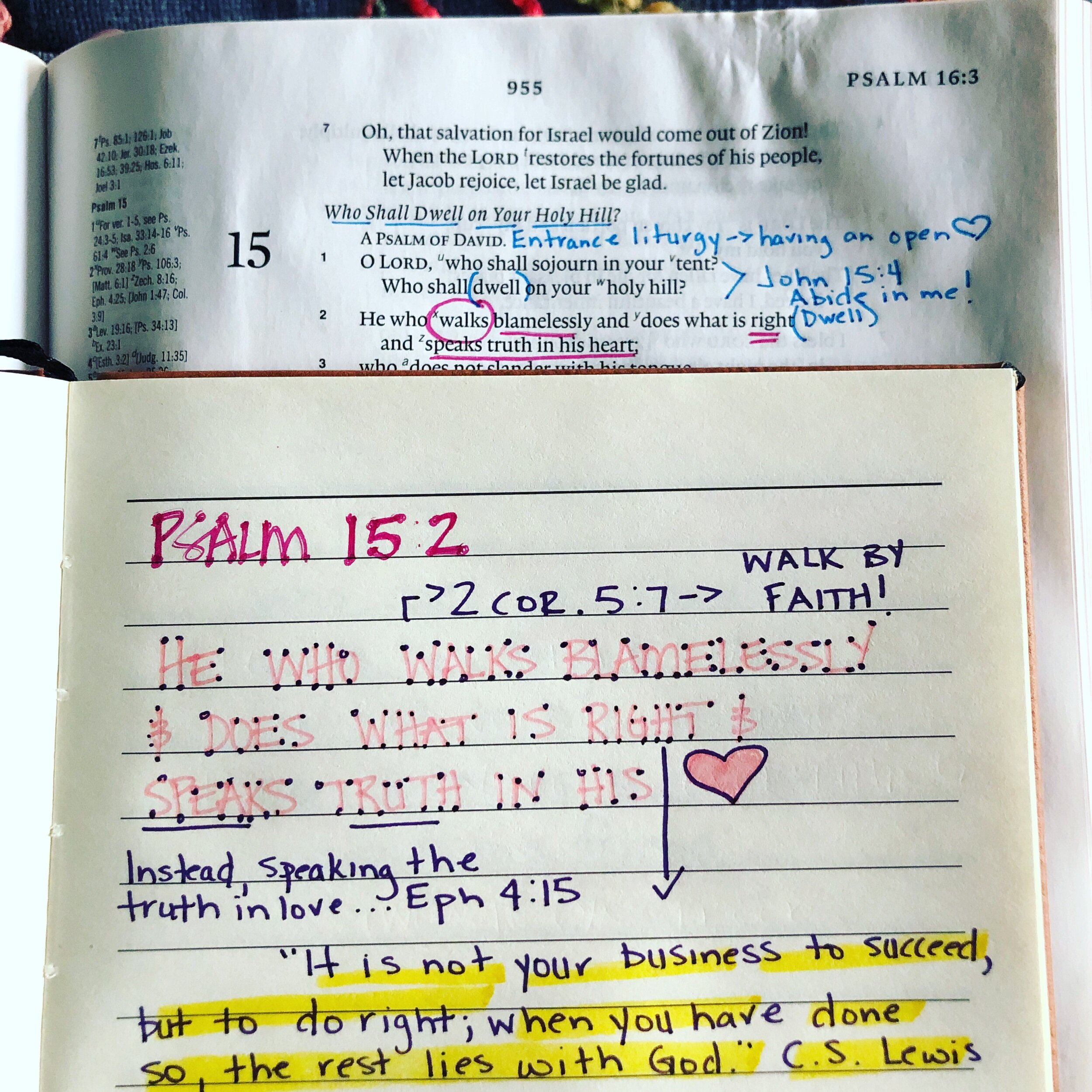 5 Tips For Studying Your Bible — Divinely Interrupted
