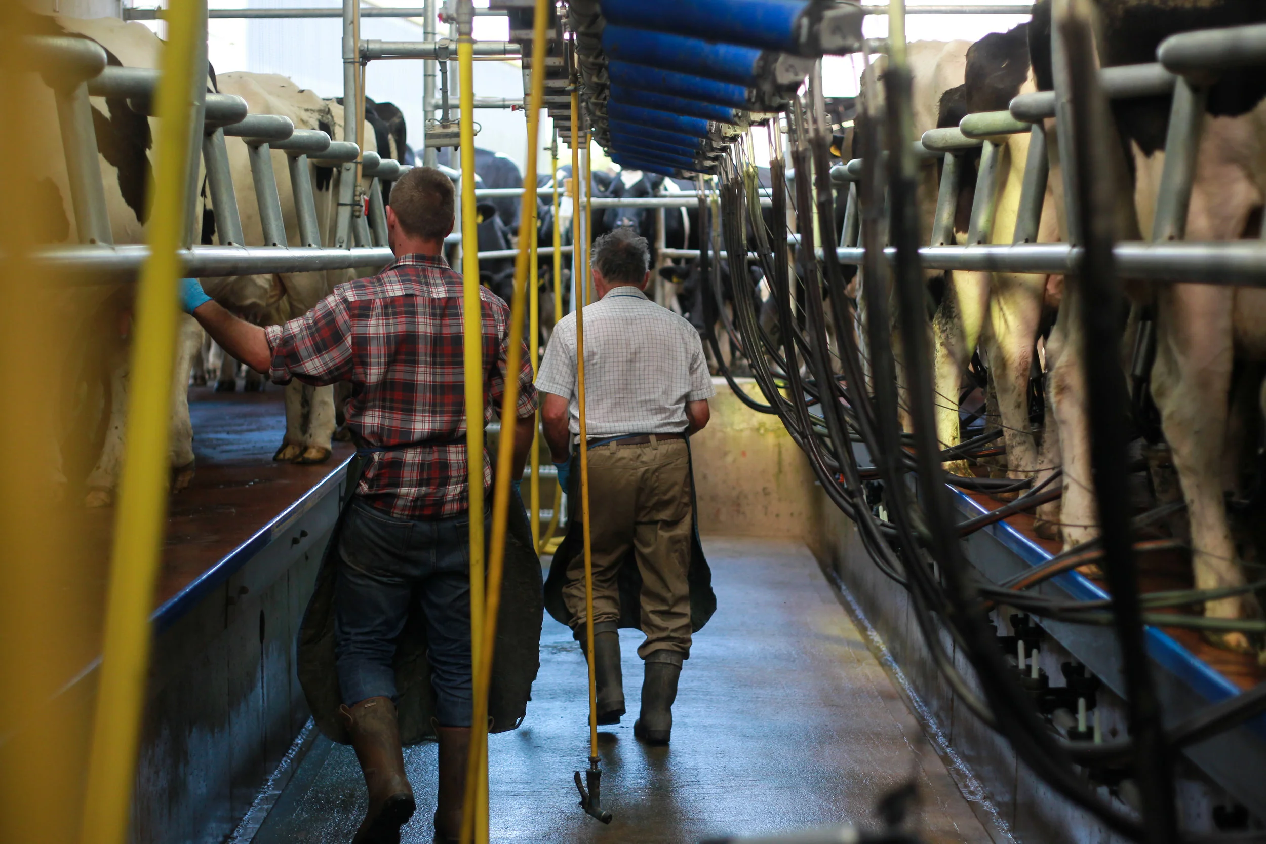 O'Dwyer Farm | Tipperary — NDC & Kerrygold Quality Milk Awards