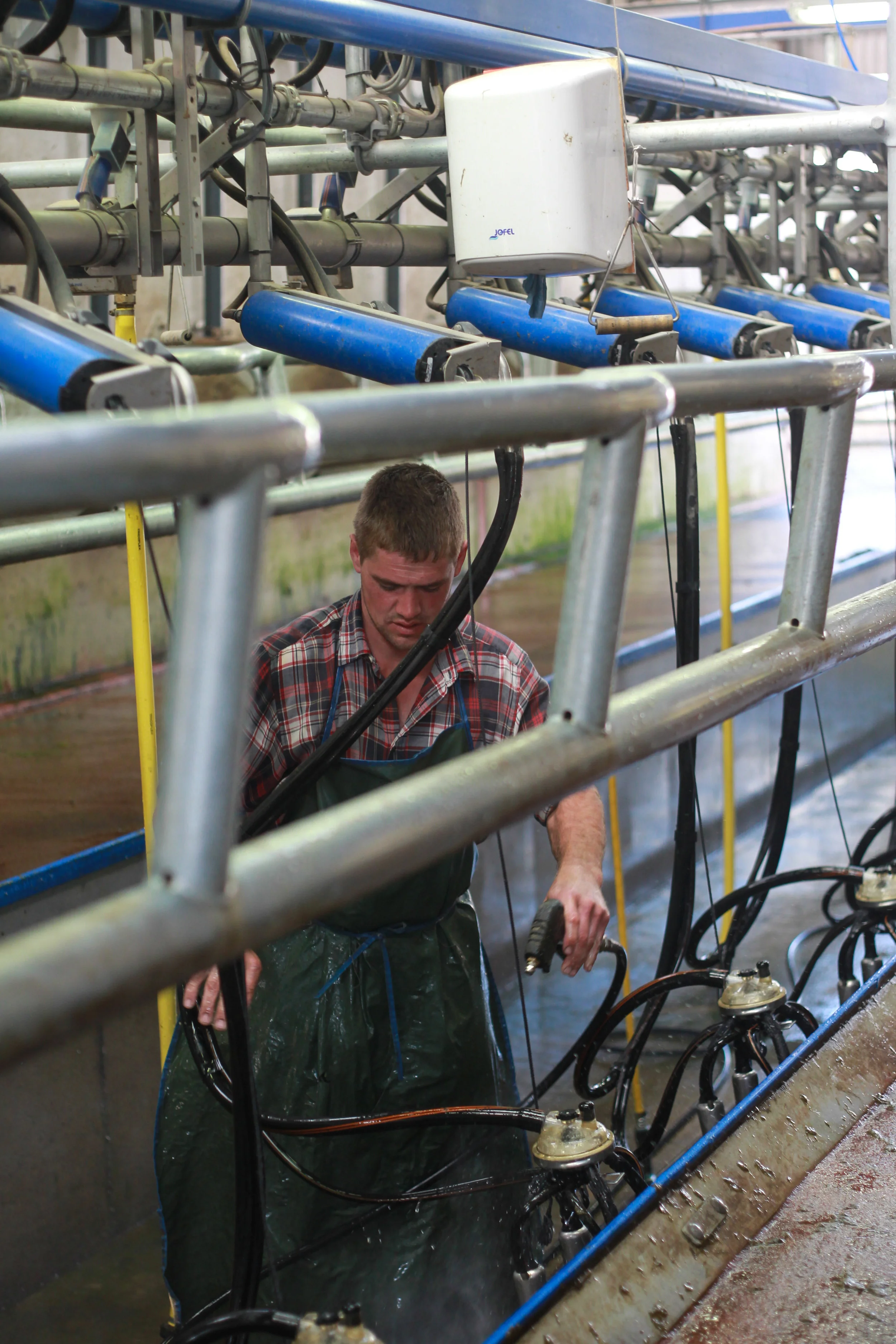 O'Dwyer Farm | Tipperary — NDC & Kerrygold Quality Milk Awards