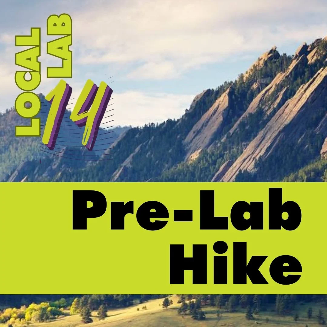 Local Lab 14 | Apr — Local Theater Company