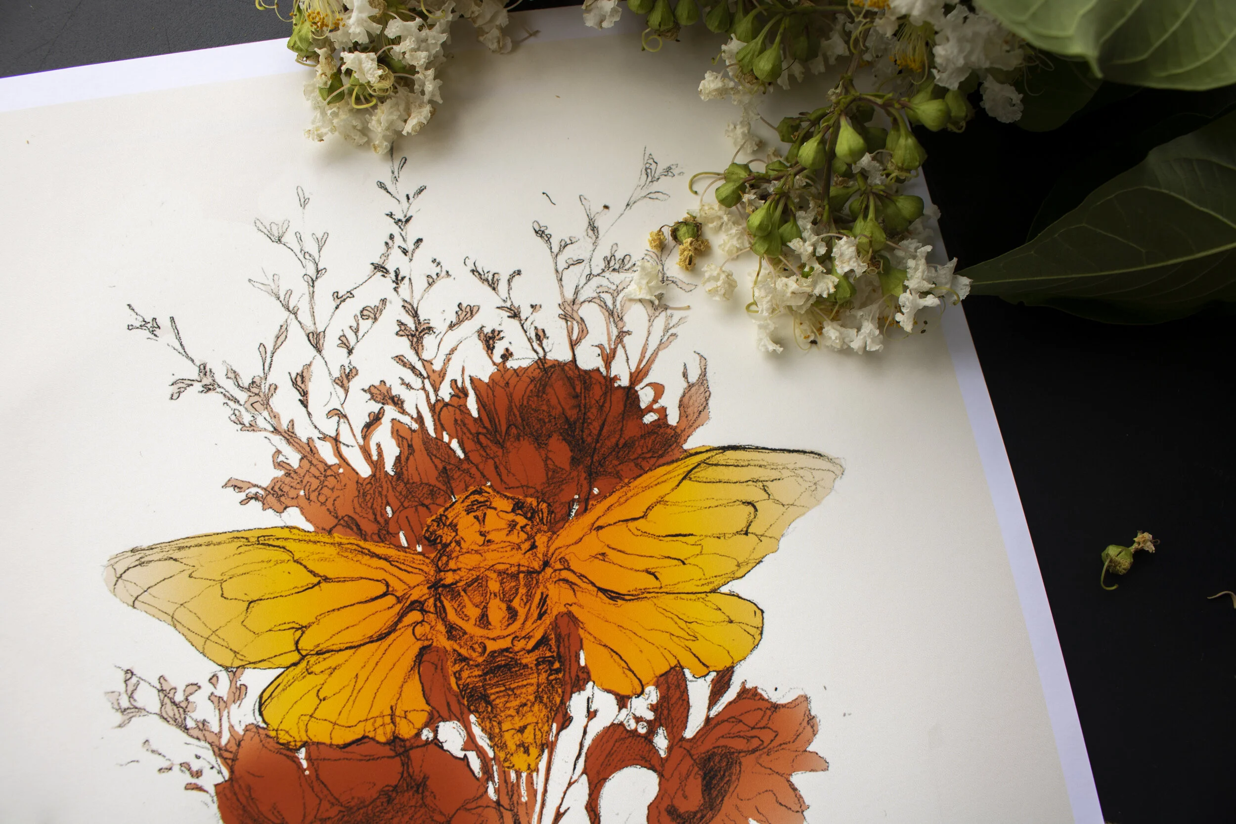 Cicada Print