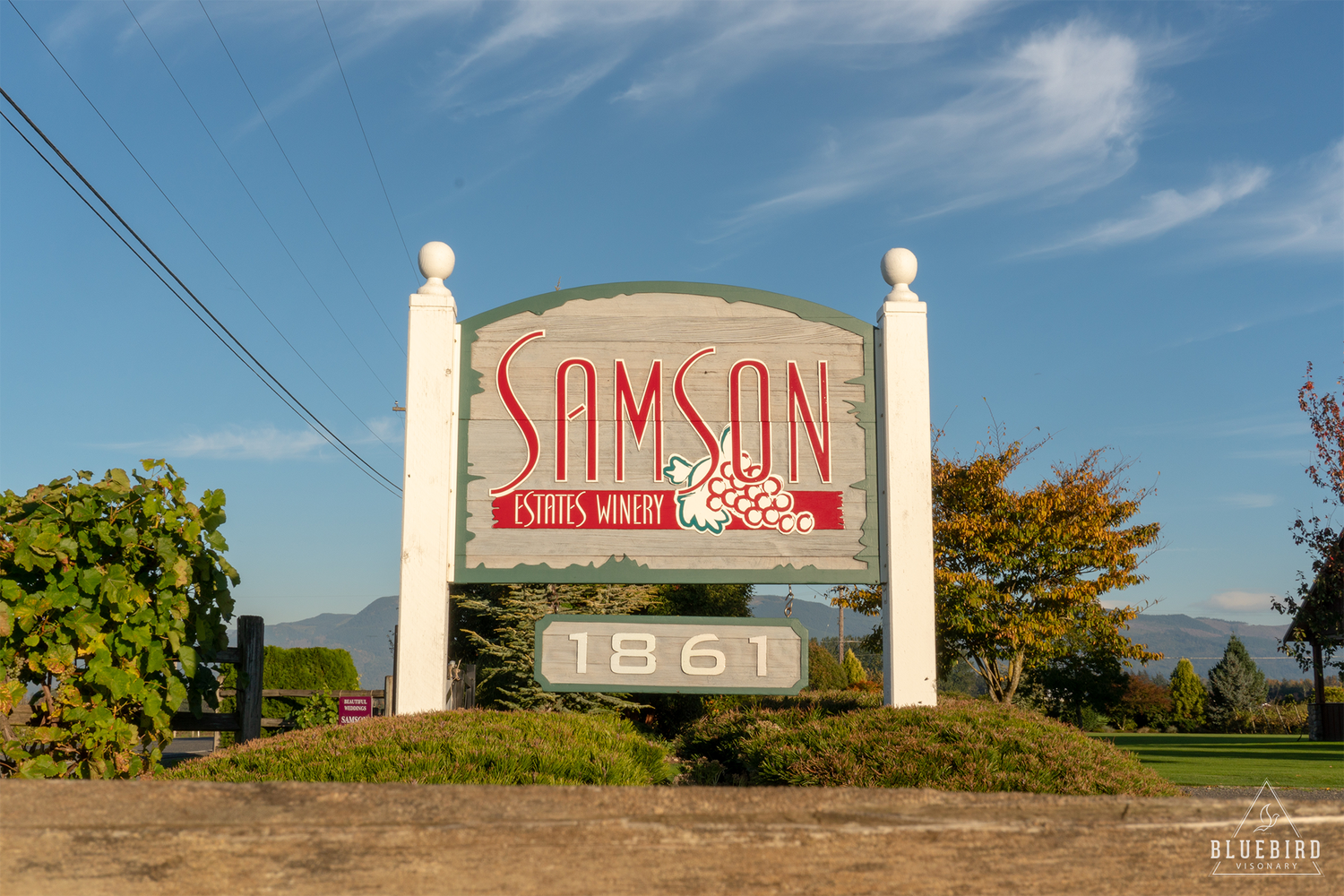 Samson Estates Winery — Samson Estates Winery Homepage