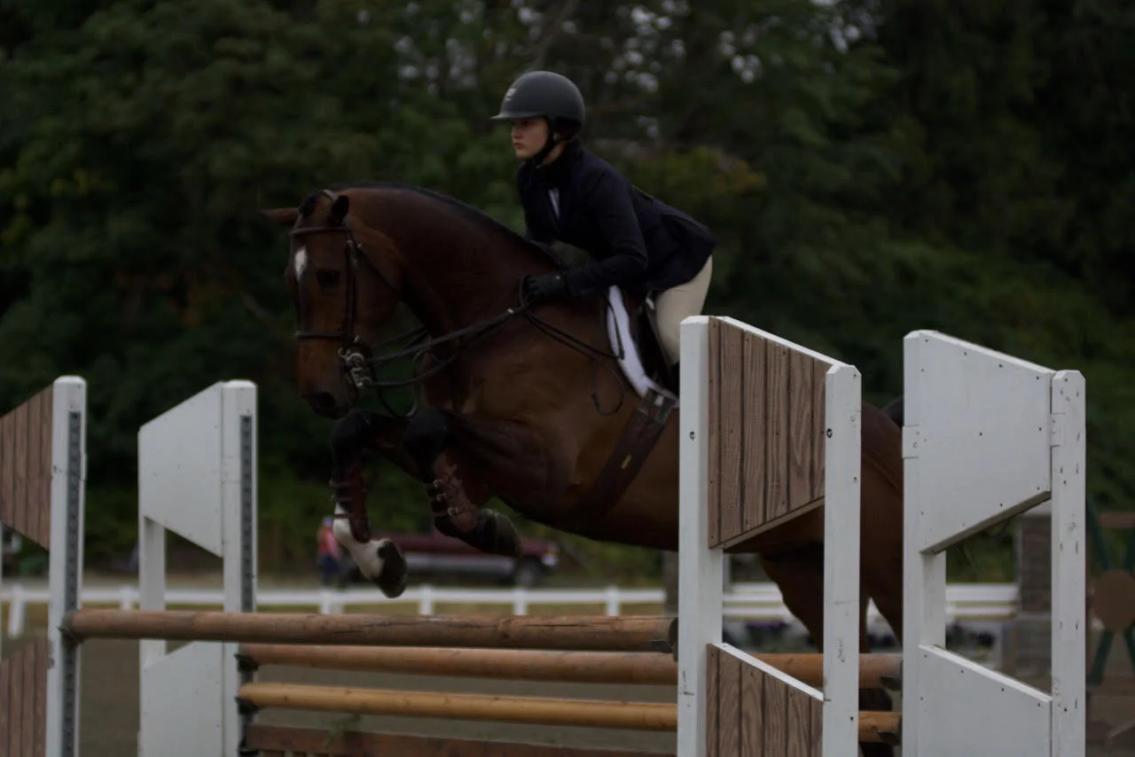 Ellie Kurtz Equestrian
