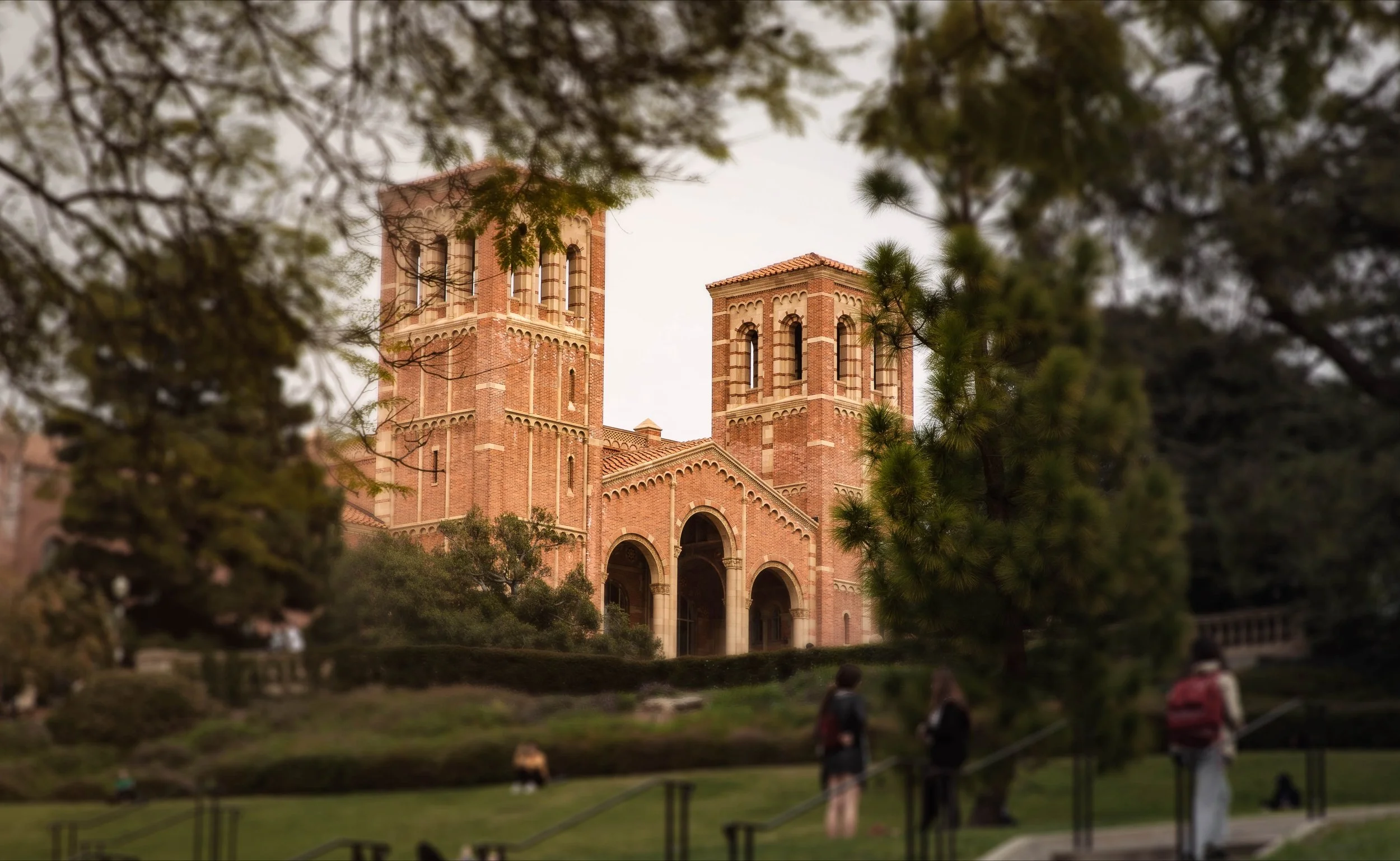 Bruin Real Estate Association