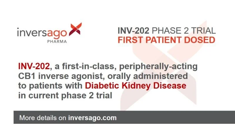 Inversago Pharma Doses First Patient in Phase 2 Trial of INV-202 ...