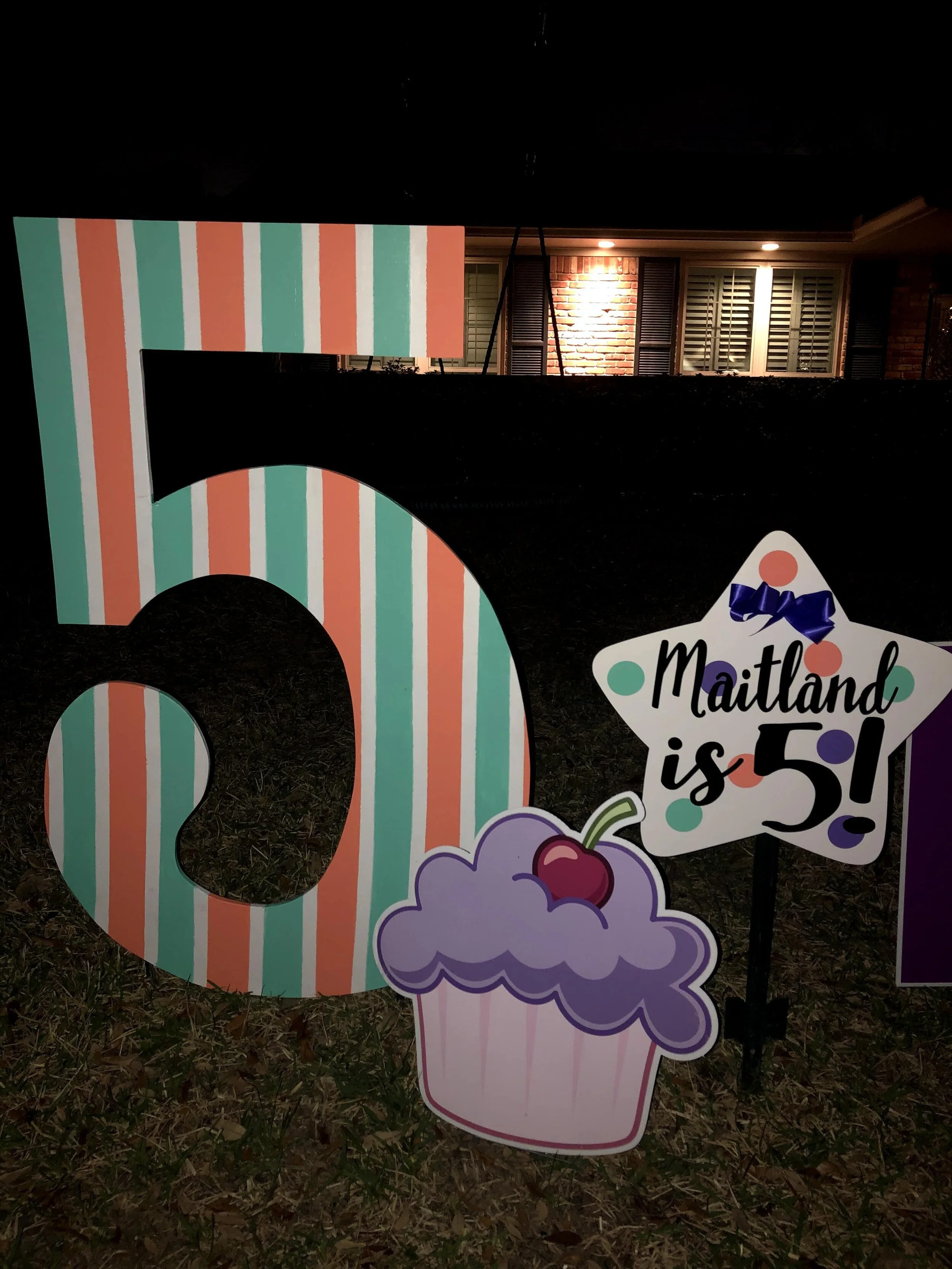 Houston, Texas New Baby Stork Signs and Birthday Signs — One Sign Day ...