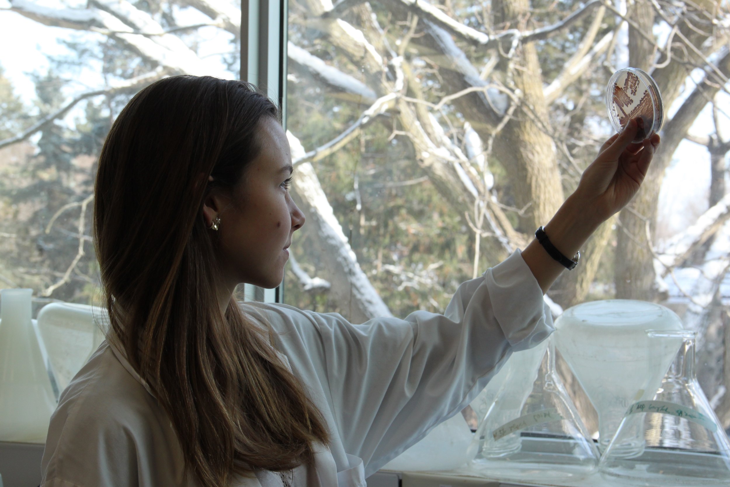 Welcome — The Wright Lab