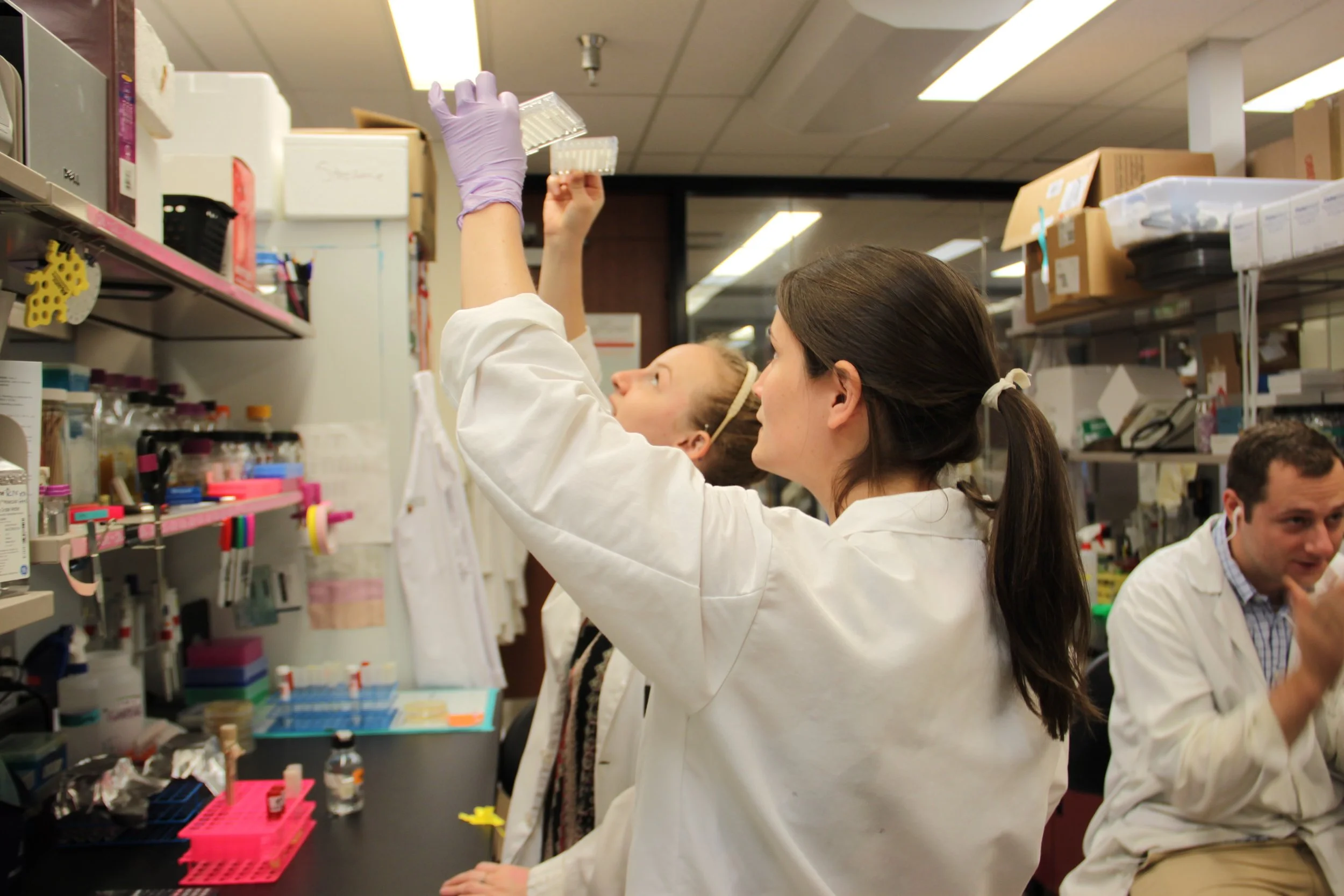 Welcome — The Wright Lab