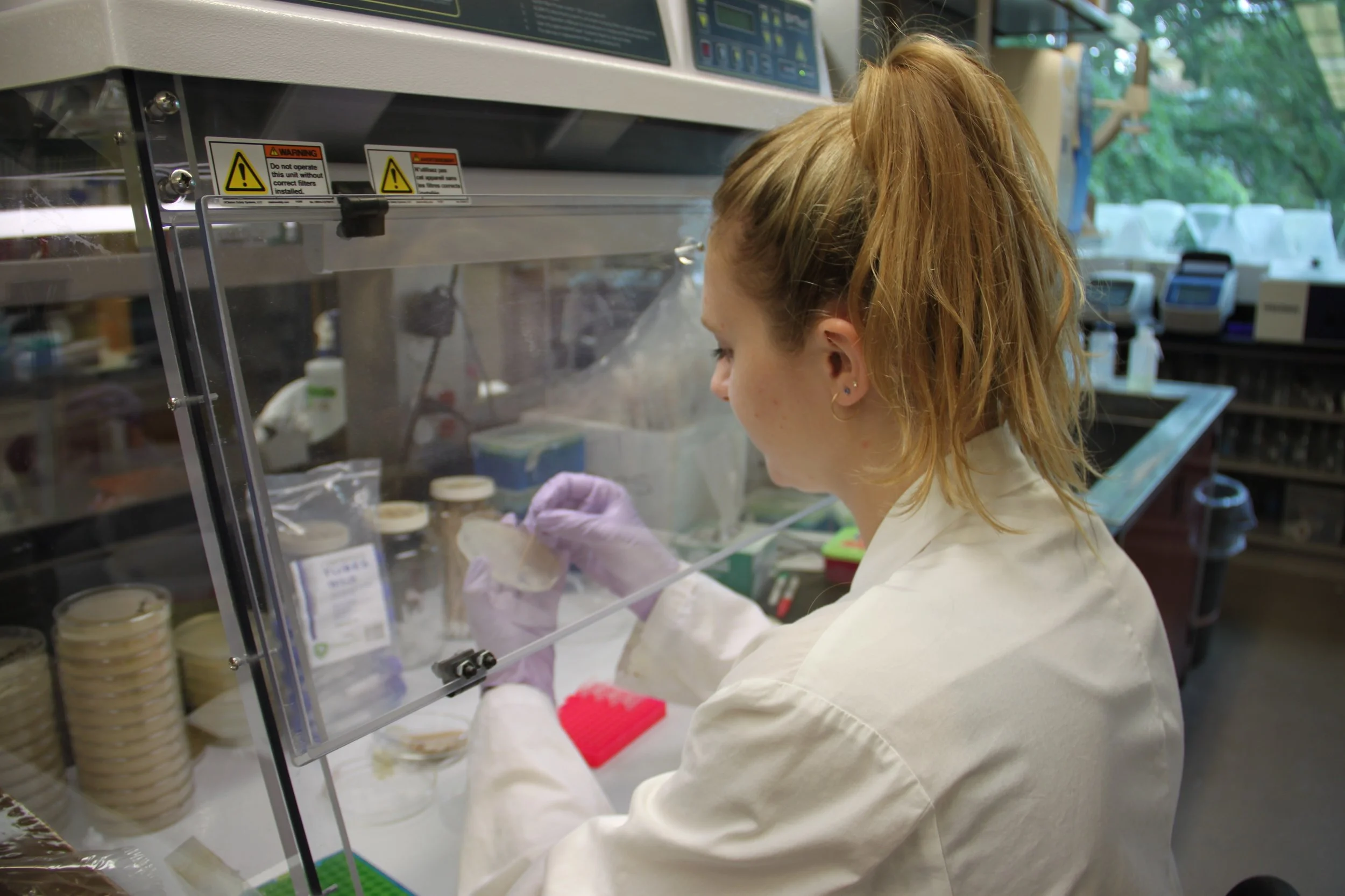 Welcome — The Wright Lab