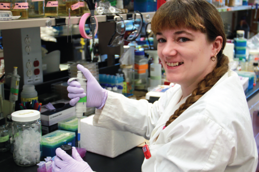 Updates — The Wright Lab