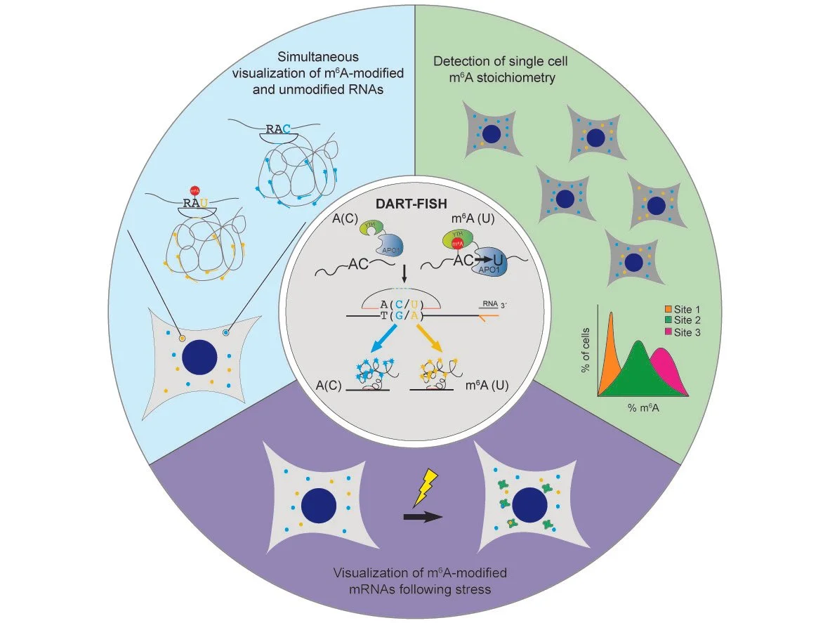 Resources — The Meyer Lab