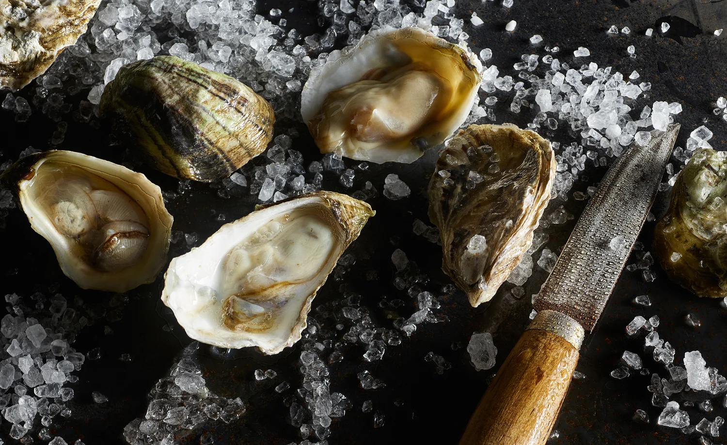 Kyle Dreier :: Nashville Food Photographer